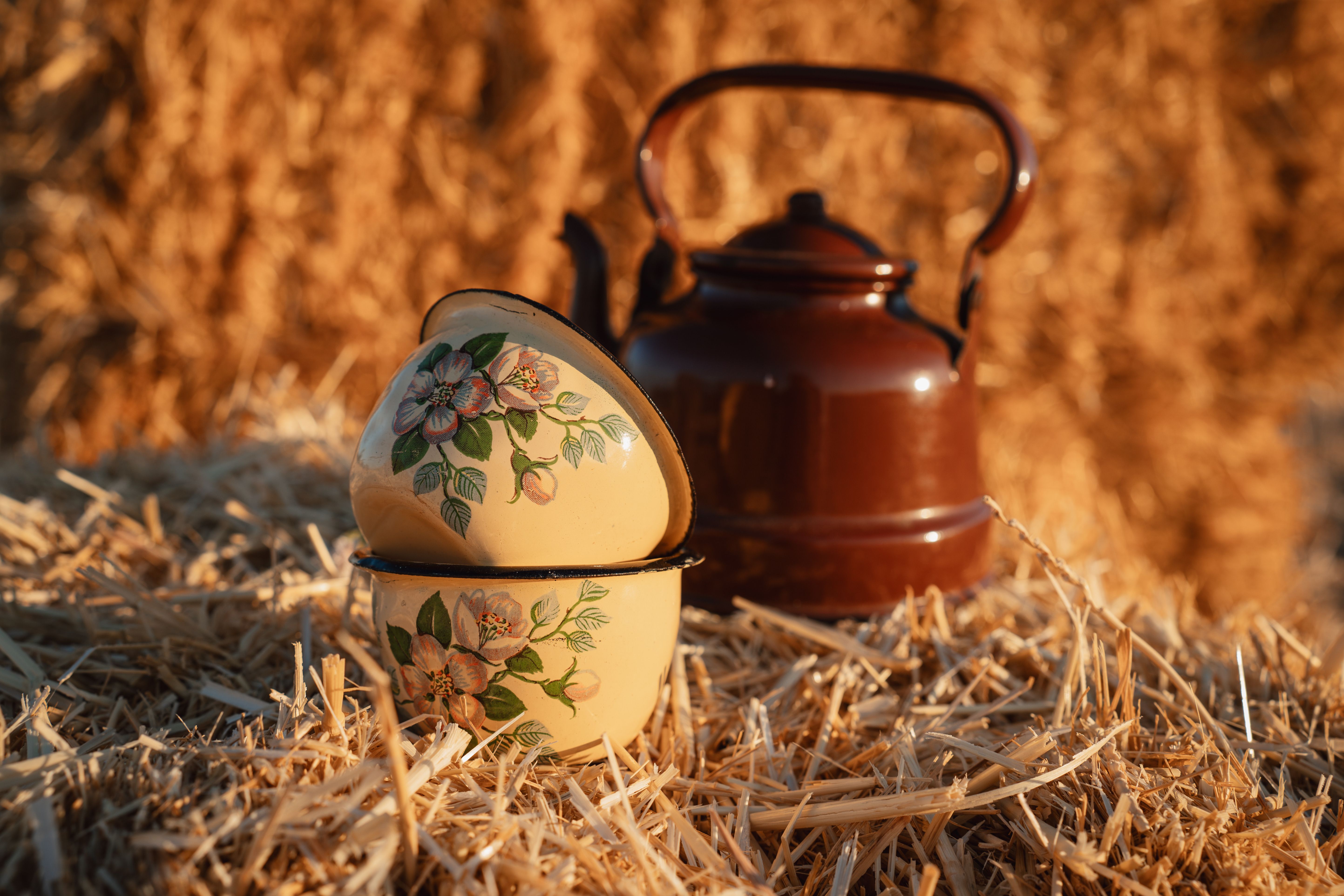 Ziek Dues Photos, Download The BEST Free Ziek Dues Stock Photos & HD Images
