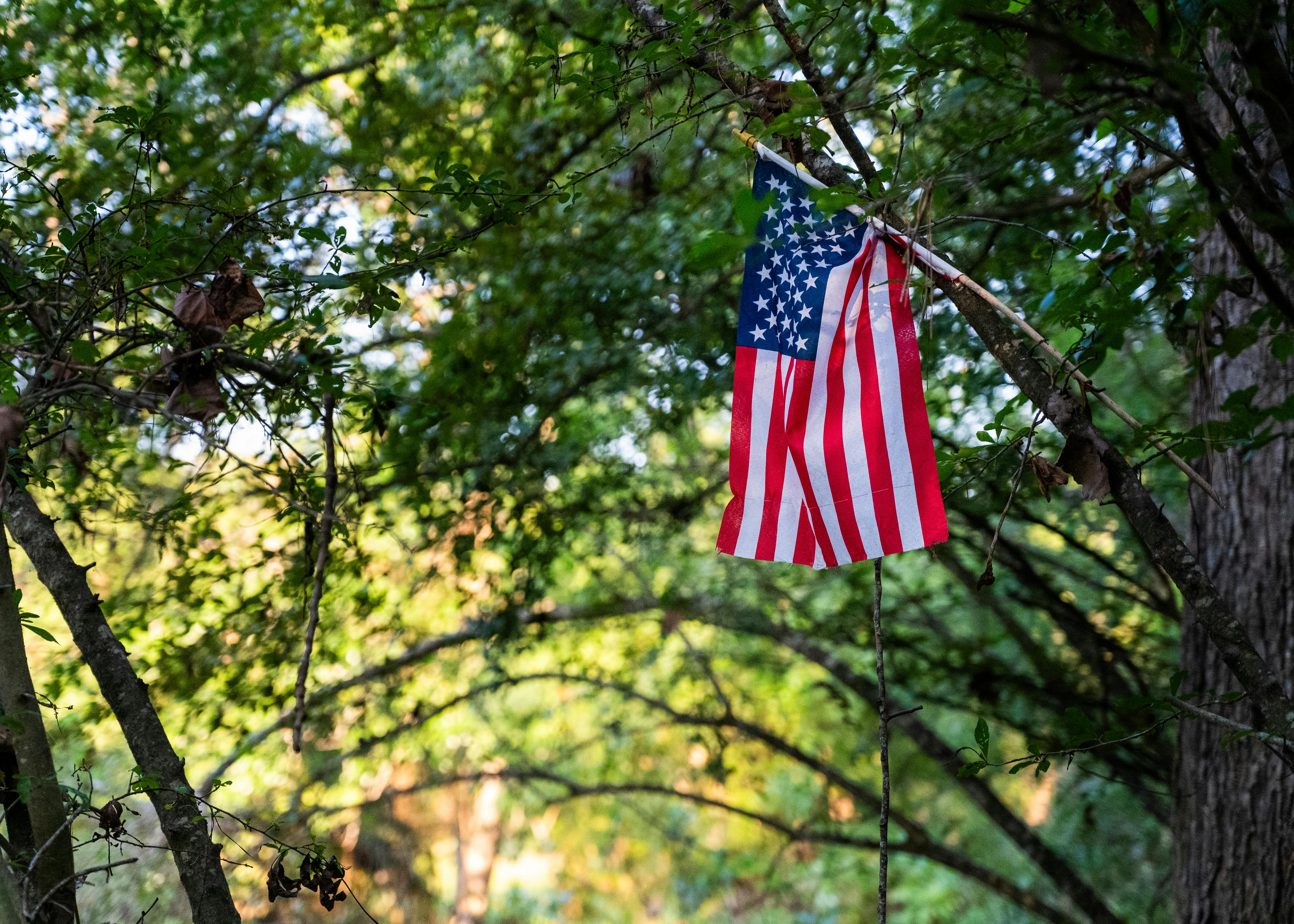 An american flag hanging from a tree in the woods · Free Stock Photo