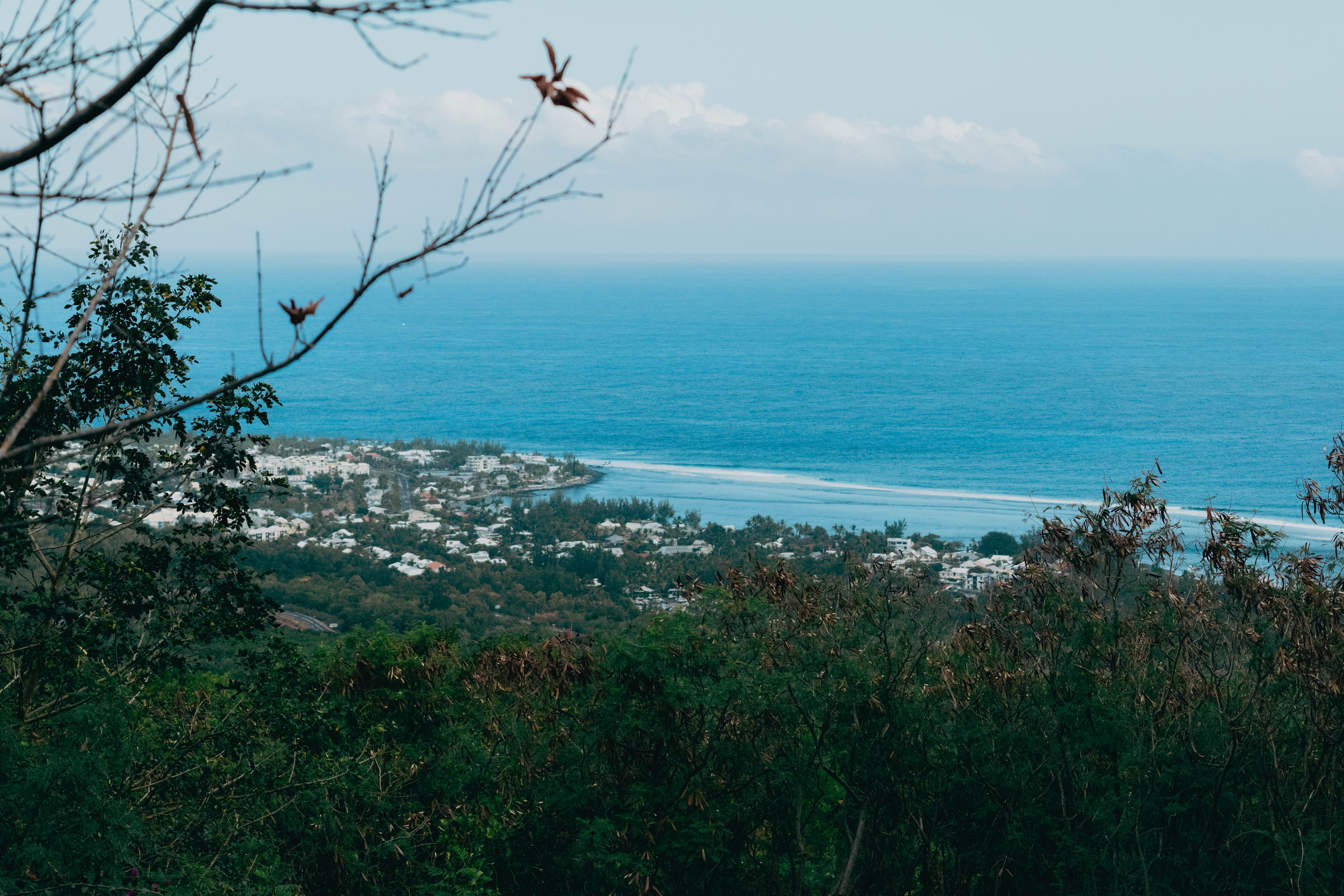 A view of the ocean from a hillside · Free Stock Photo