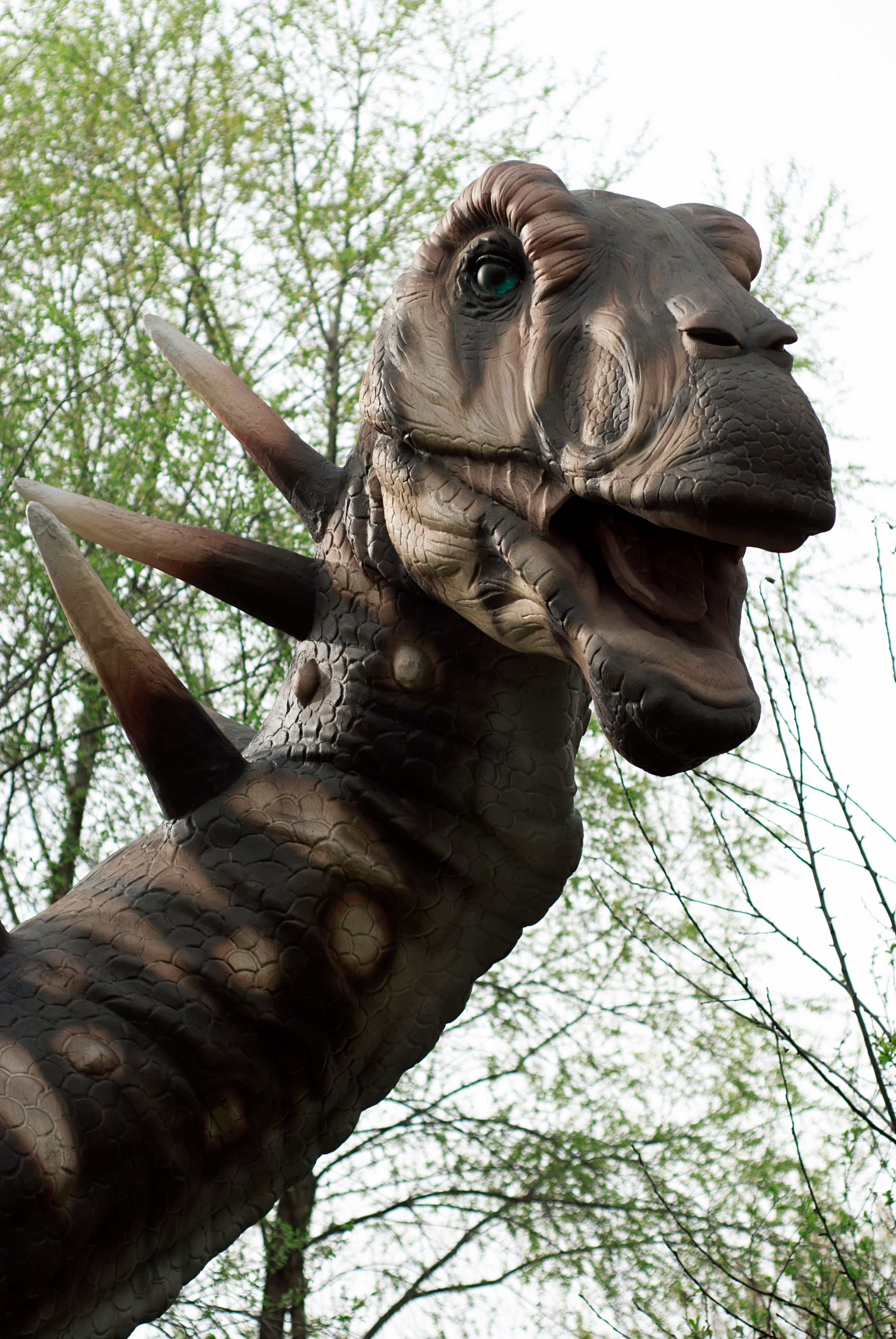 A close up of a dinosaur head with its mouth open · Free Stock Photo