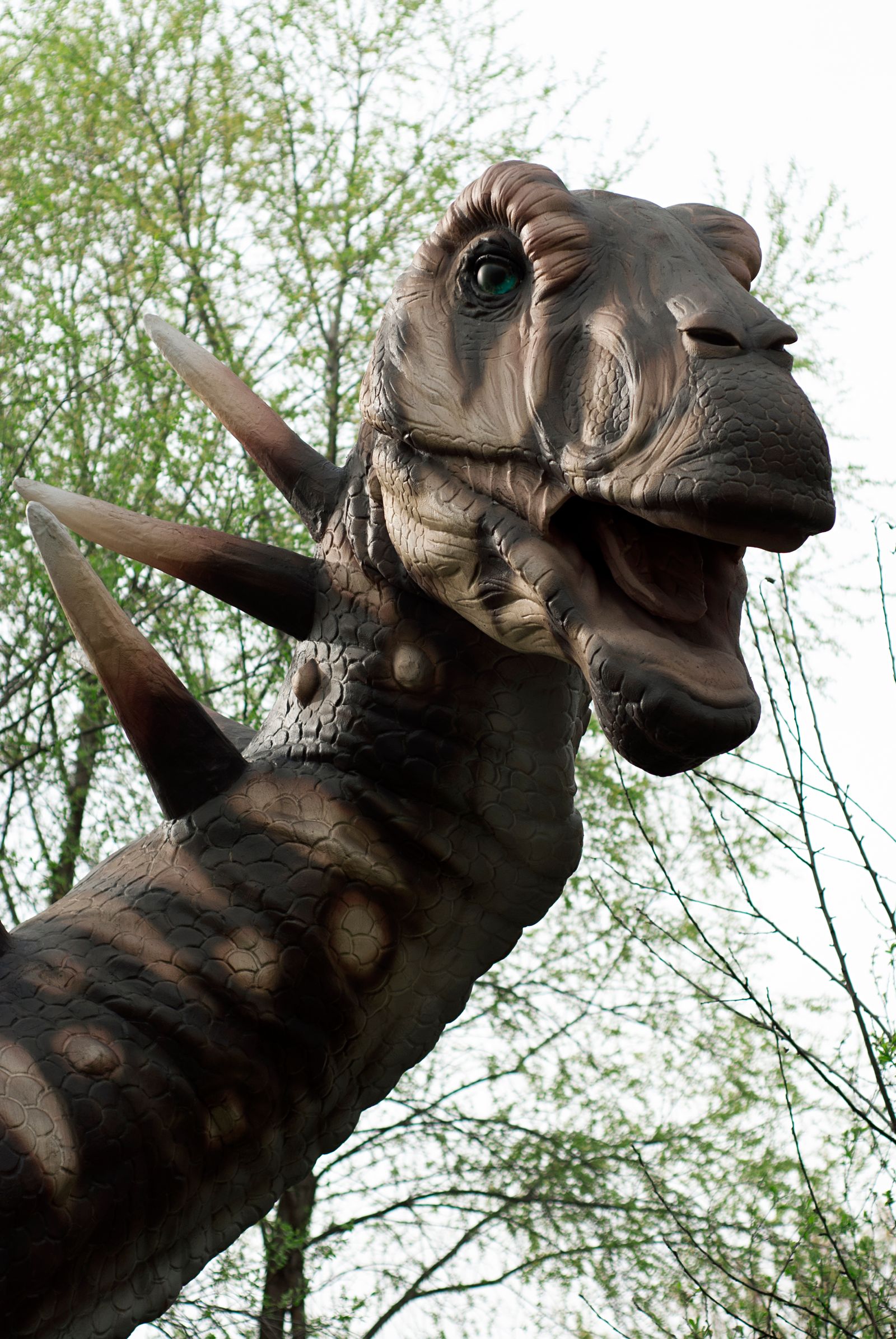 Real Dinosaur Photos, Download The BEST Free Real Dinosaur Stock Photos ...