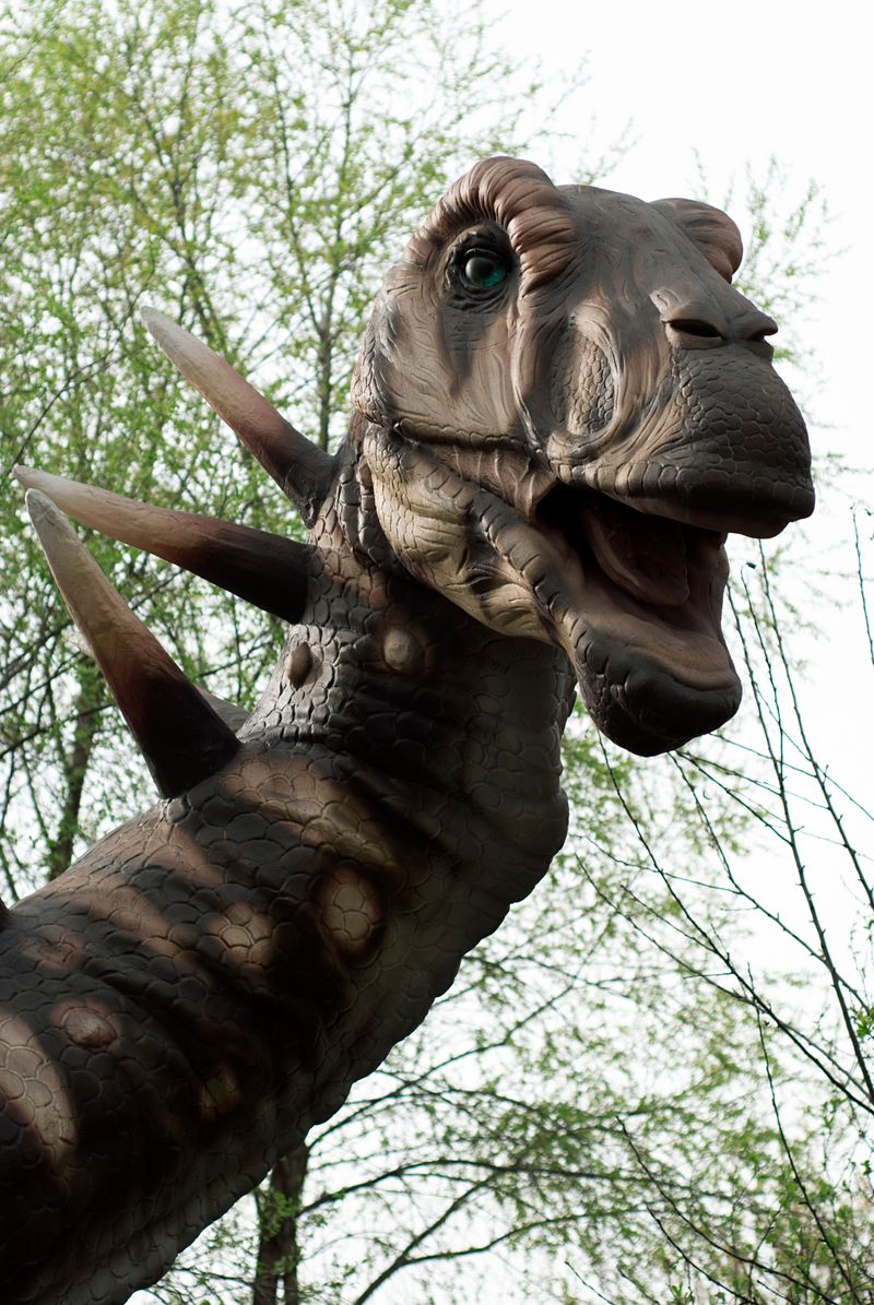 Real Dinosaur Photos, Download The BEST Free Real Dinosaur Stock Photos ...