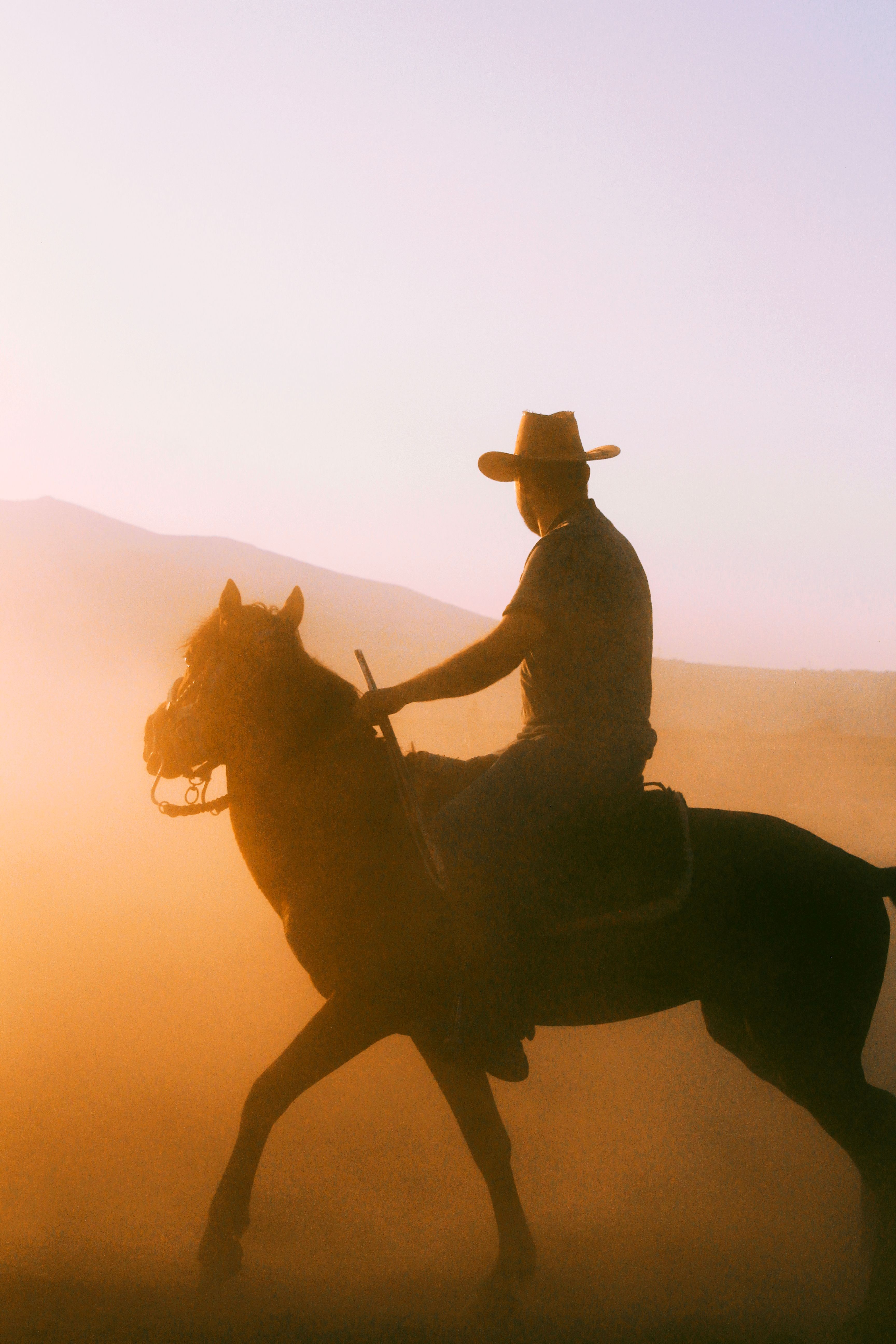 Cowboy on Rearing Horse · Free Stock Photo