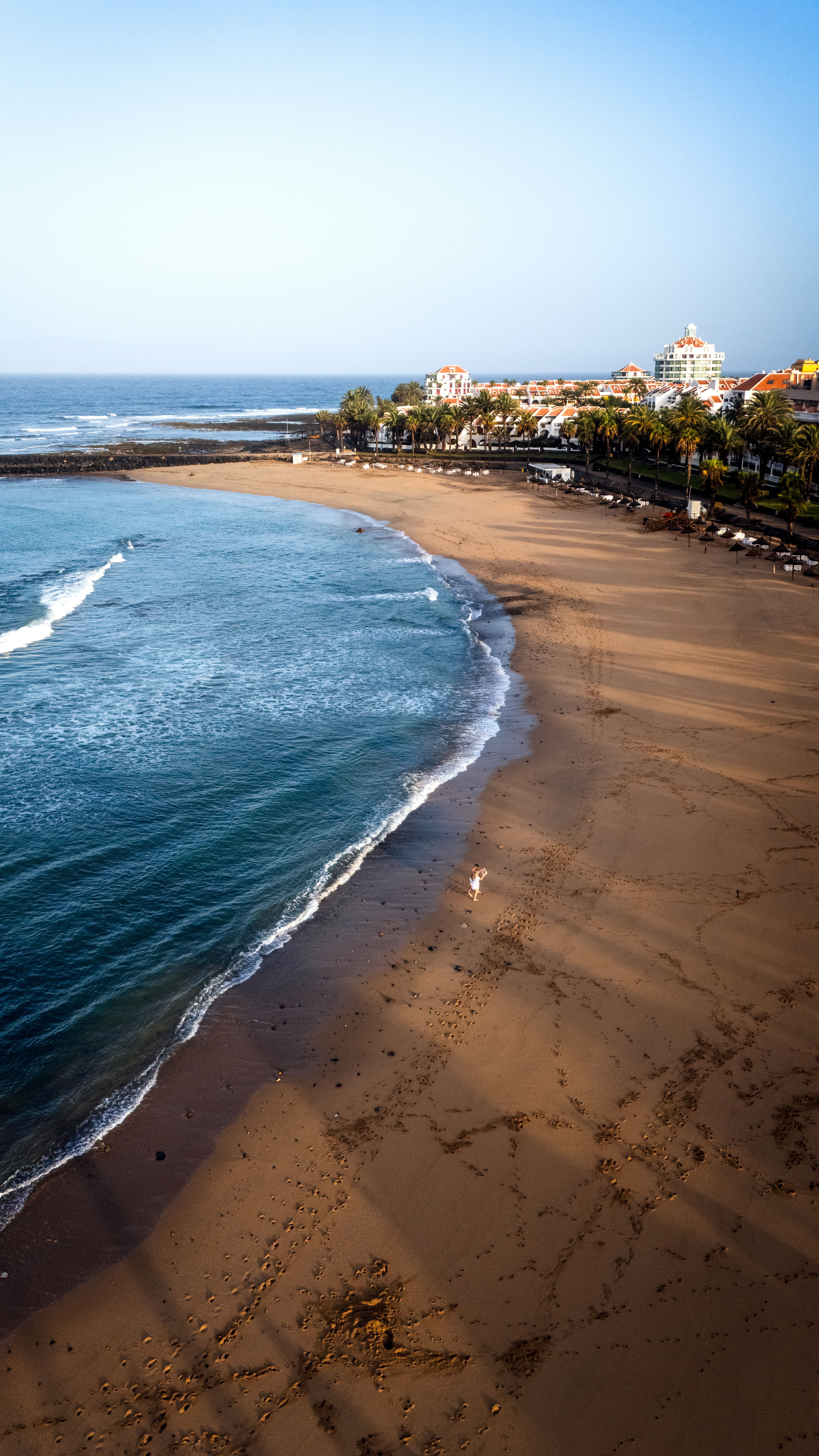 Playa de las Americas Tenerife · Free Stock Photo
