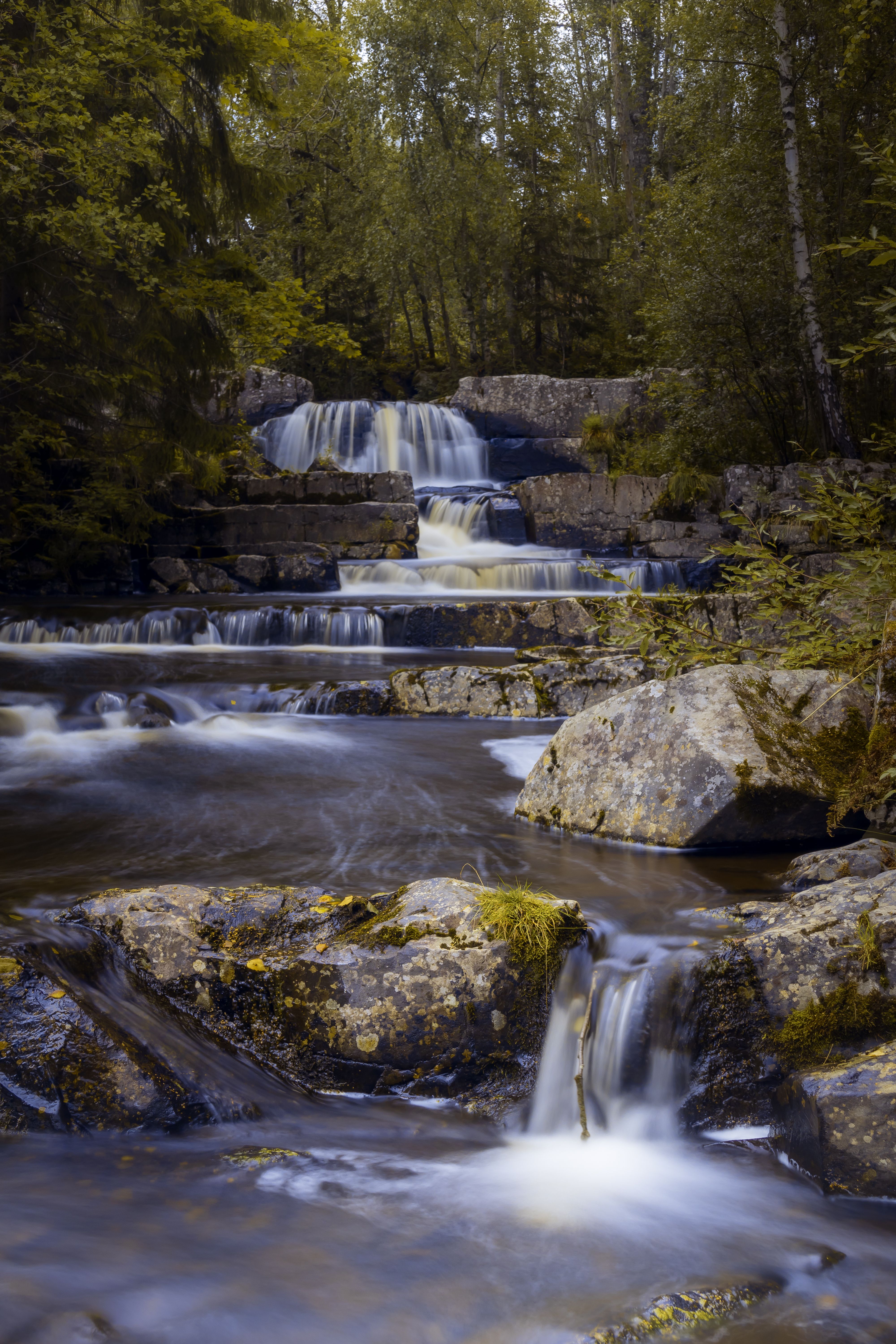 waterfall · Free Stock Photo