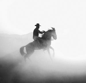 Man Riding Horse Photos, Download The BEST Free Man Riding Horse Stock ...