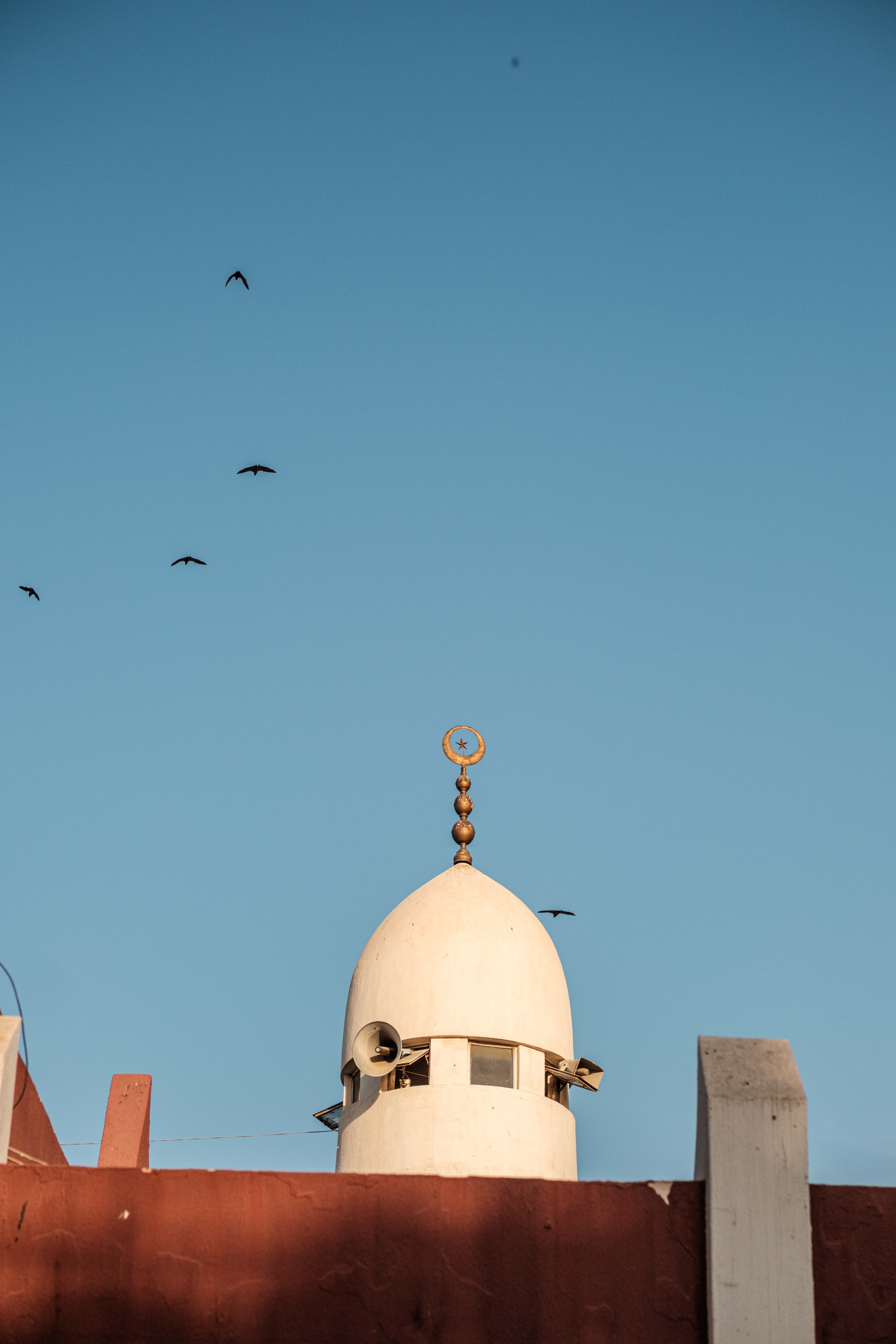 Birds flying over a mosque with a dome on top · Free Stock Photo