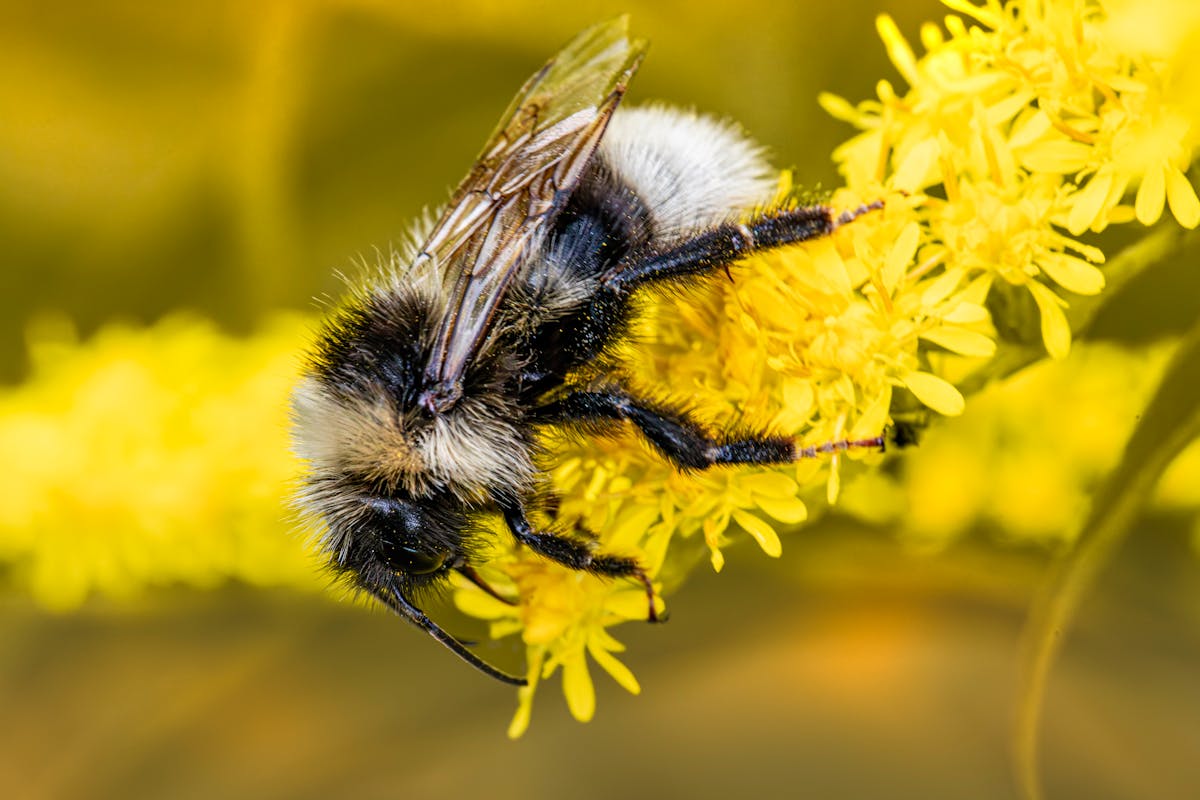 Free Stock Download Photos, Download The BEST Free Free Stock Download ...