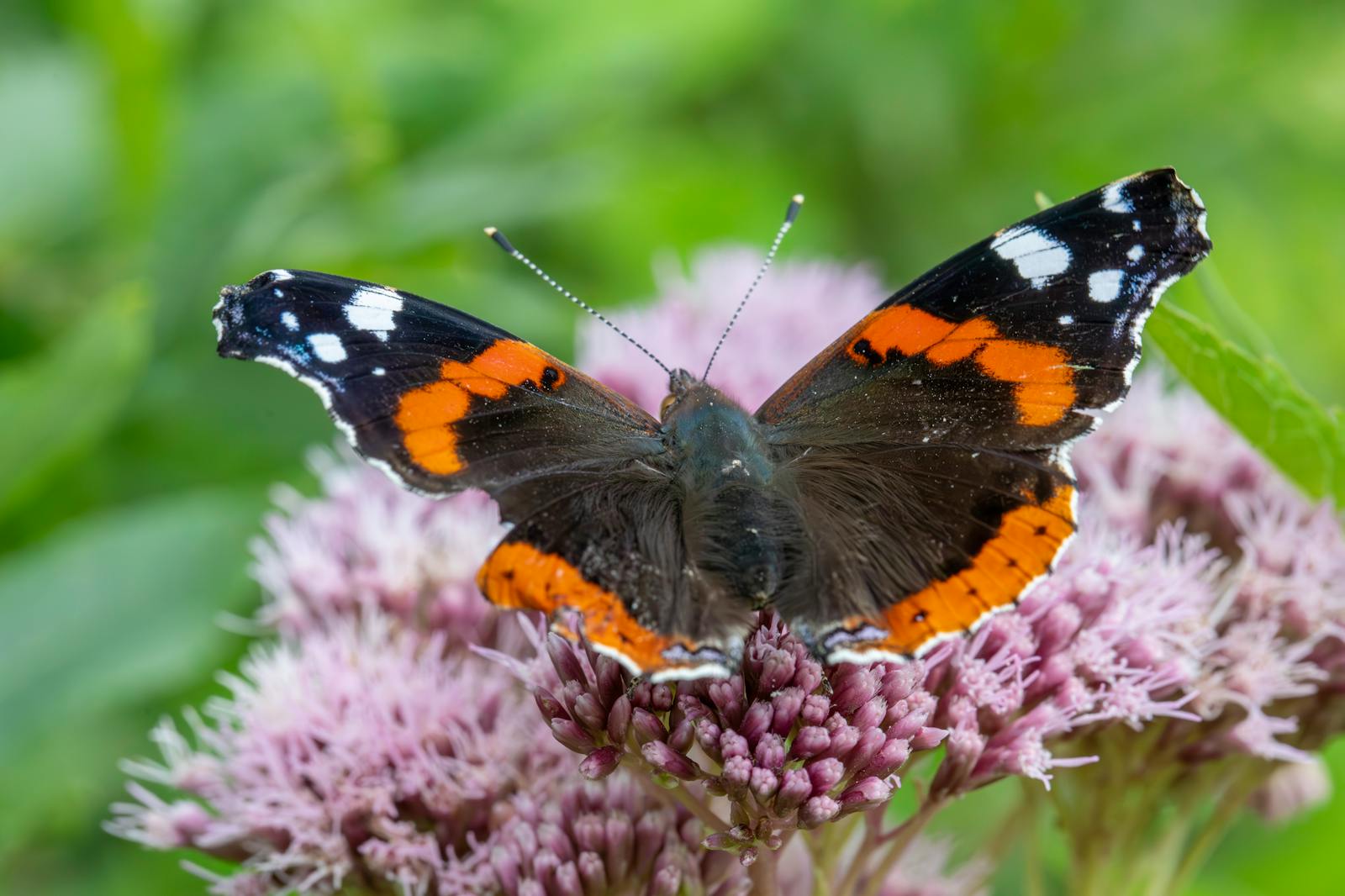 Free Sample Image Photos, Download The BEST Free Free Sample Image ...