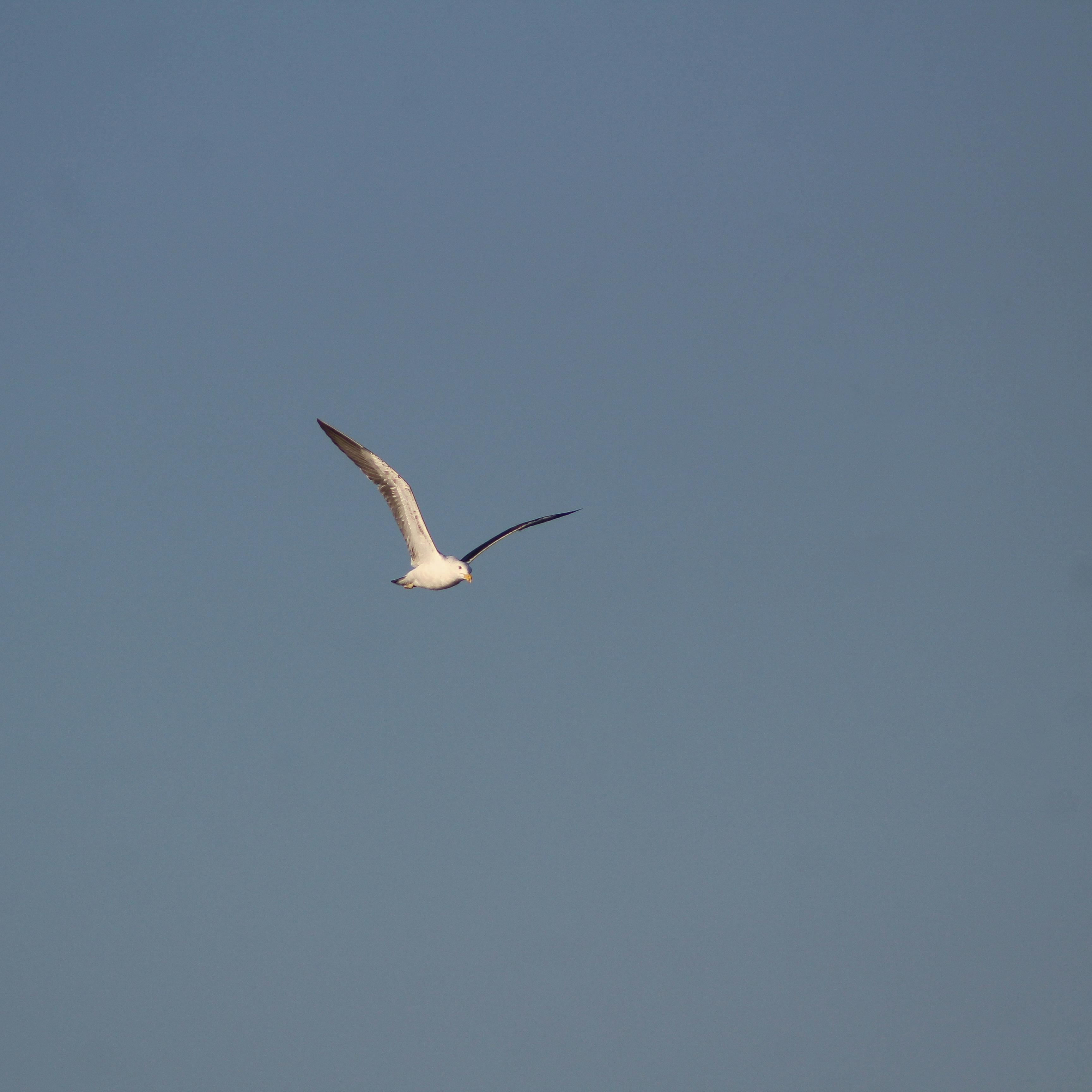 Free Open Source Photos, Download The BEST Free Free Open Source Stock ...