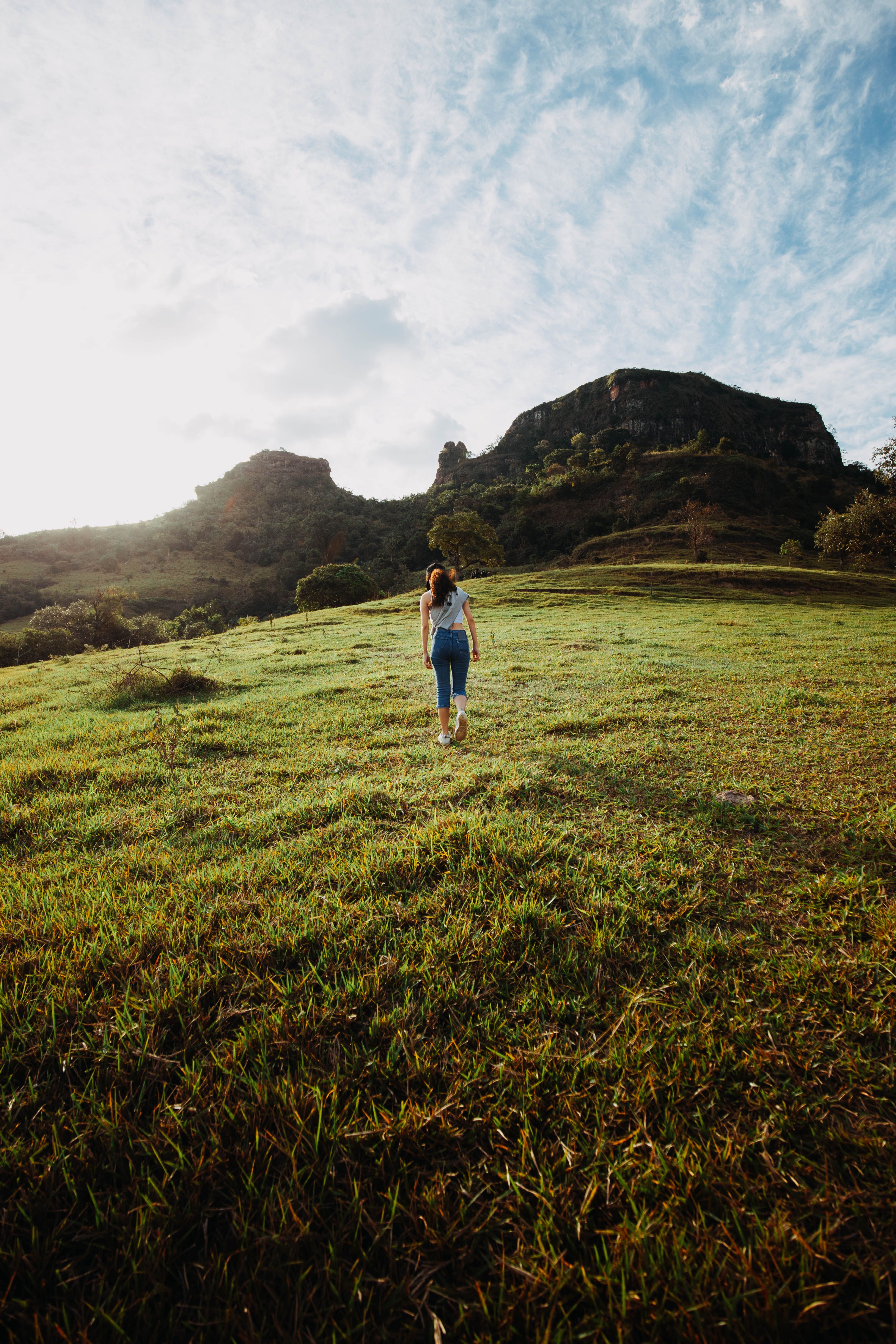 Person Standing in Pathway · Free Stock Photo
