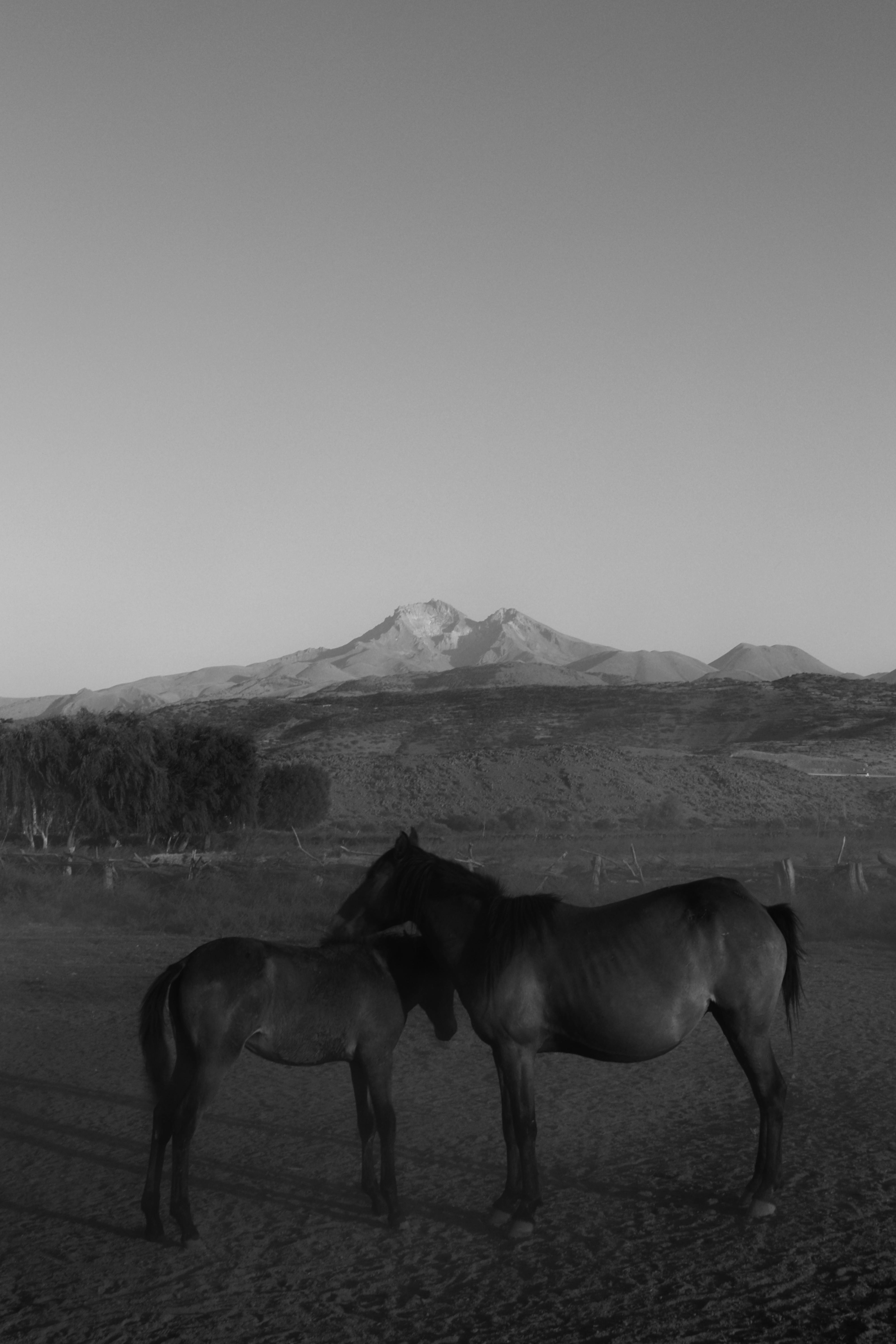 Mustang Landscape Photos, Download The BEST Free Mustang Landscape ...