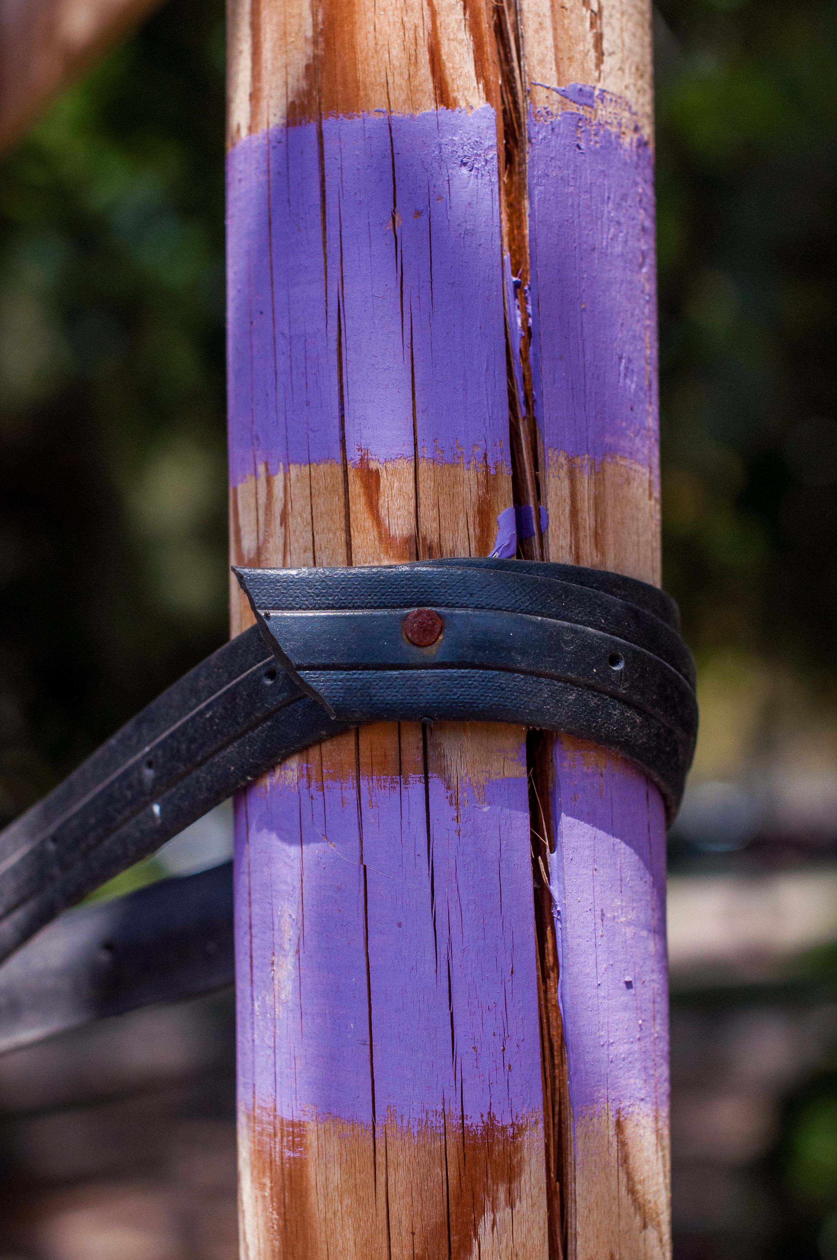 Close-up of Wooden Post with Purple Paint and Metal Straps · Free Stock ...