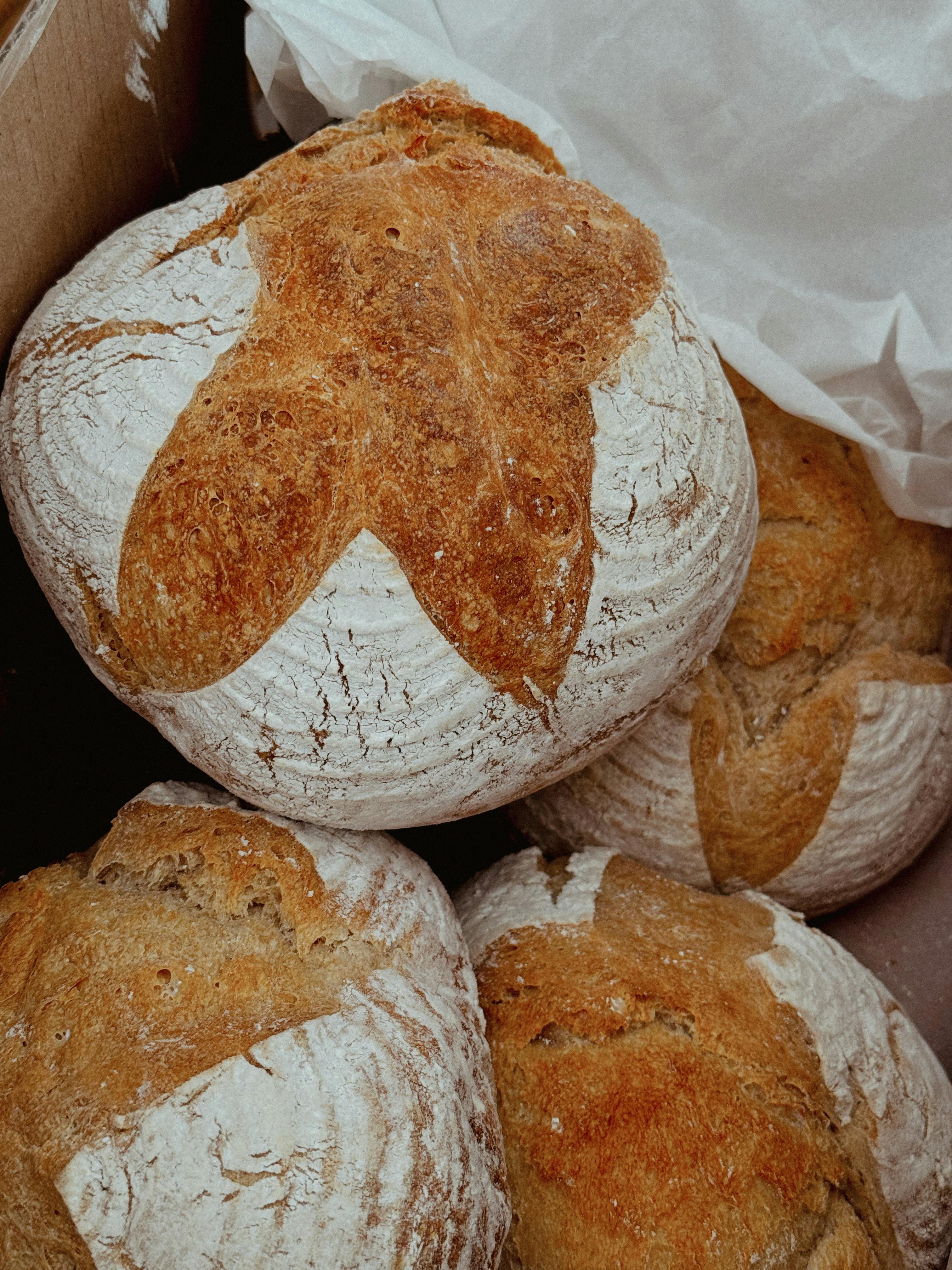 Human Holding a Bread · Free Stock Photo