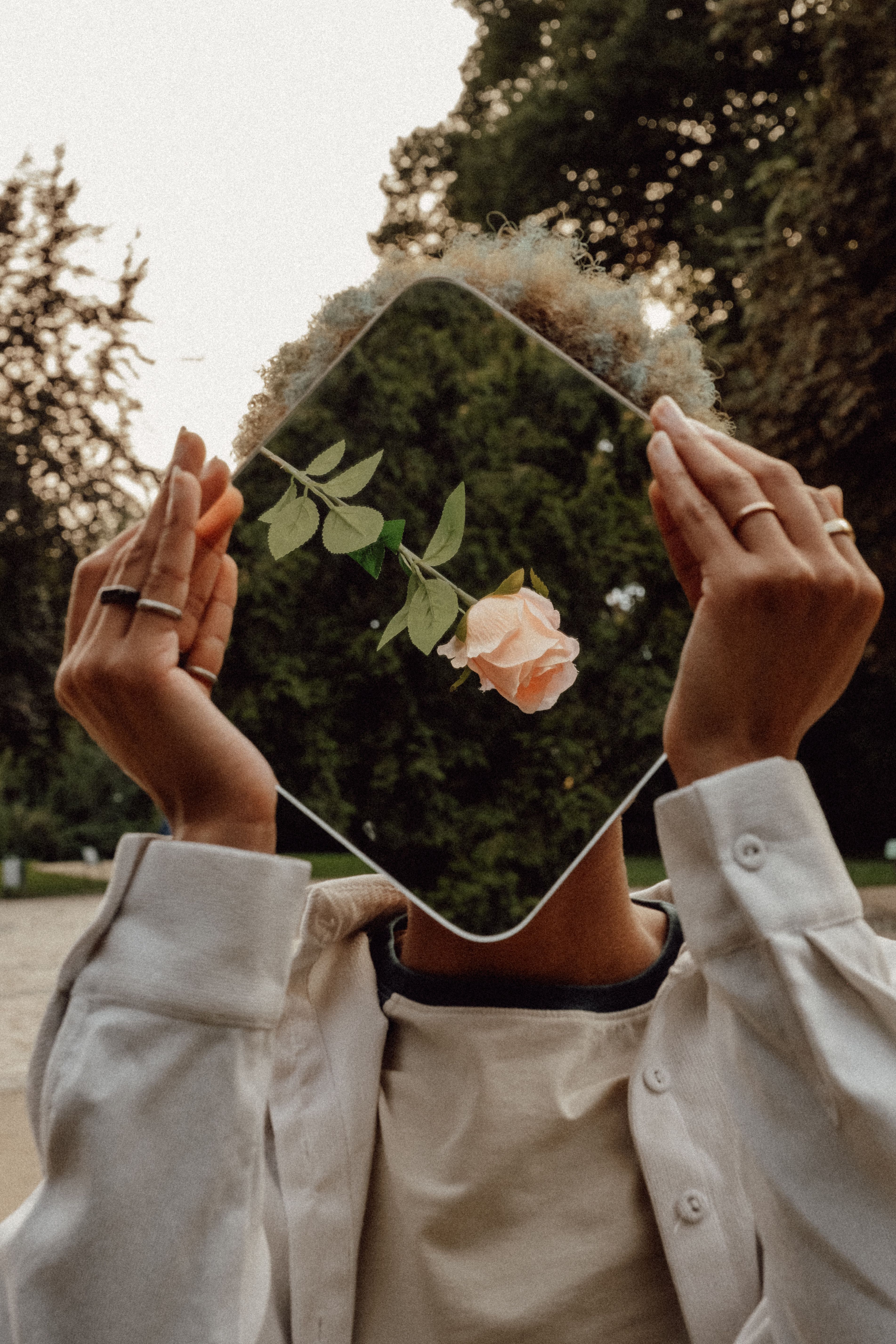 A person holding a rose in front of their face · Free Stock Photo