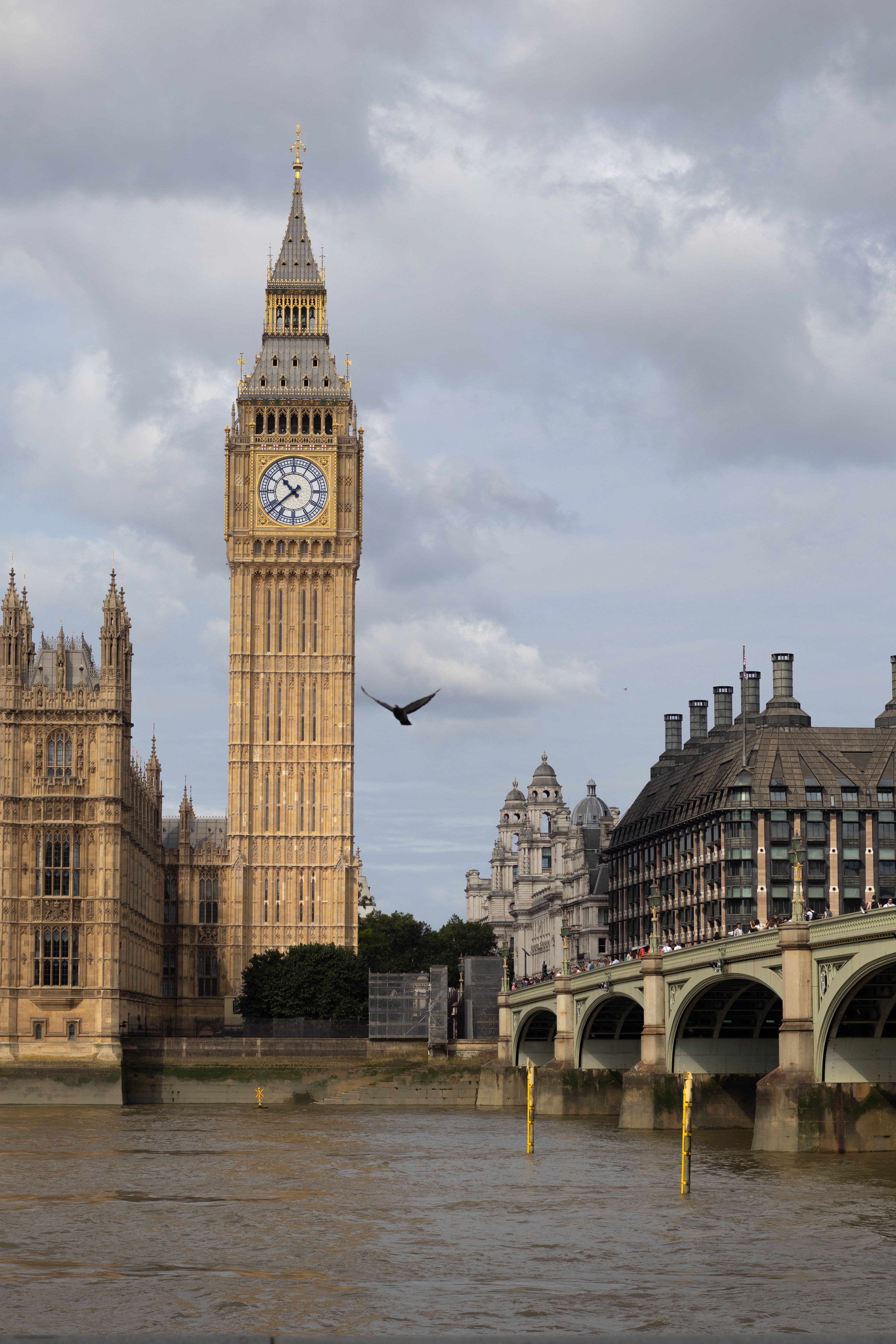 A large clock tower with a bird flying over it · Free Stock Photo