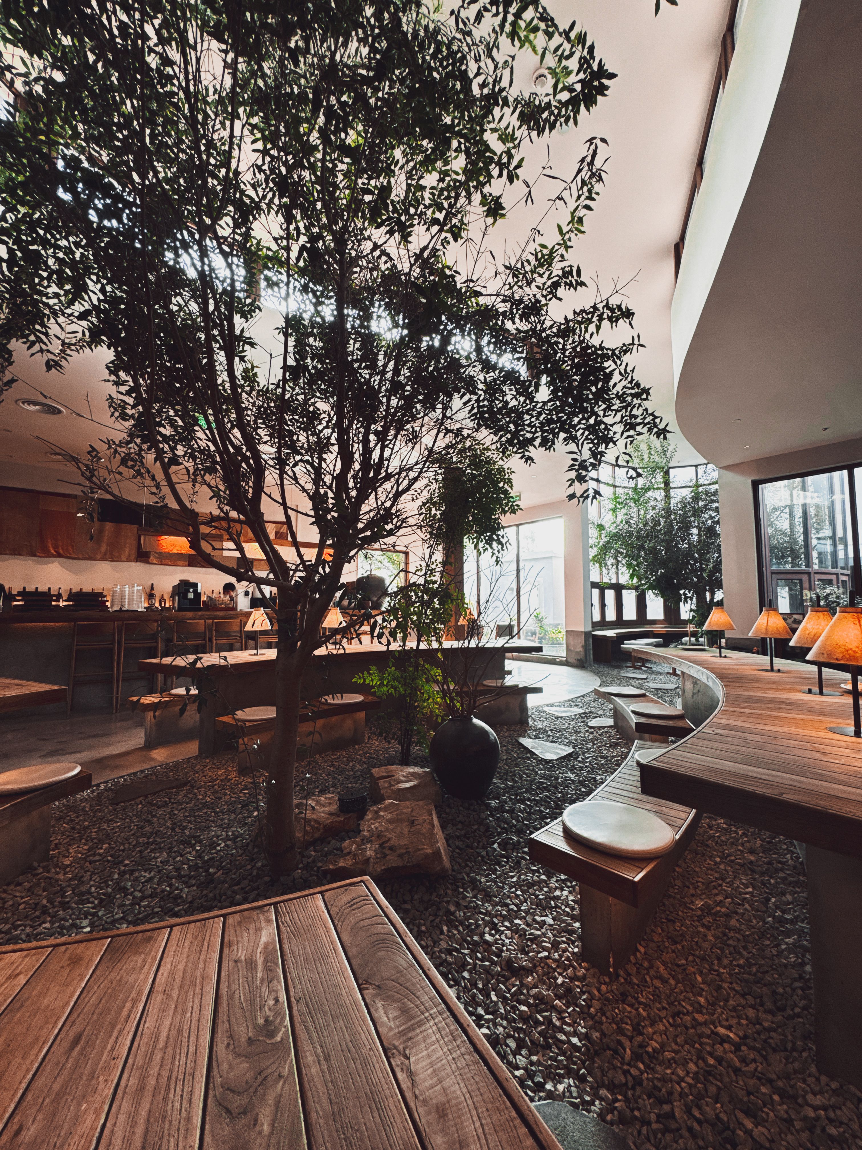 A modern restaurant with a tree and benches · Free Stock Photo