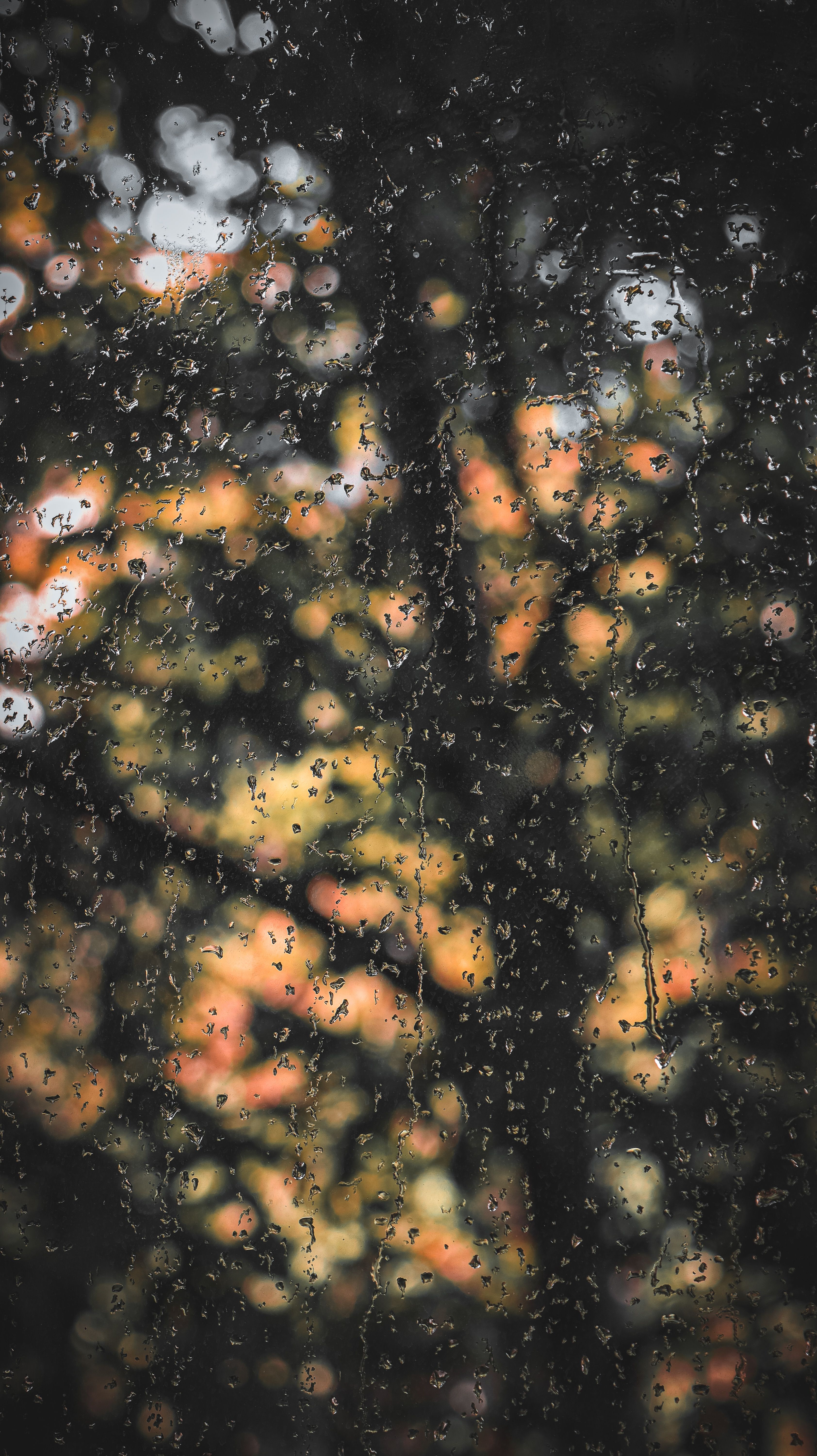 Photography of Rainy Weather With Trees · Free Stock Photo