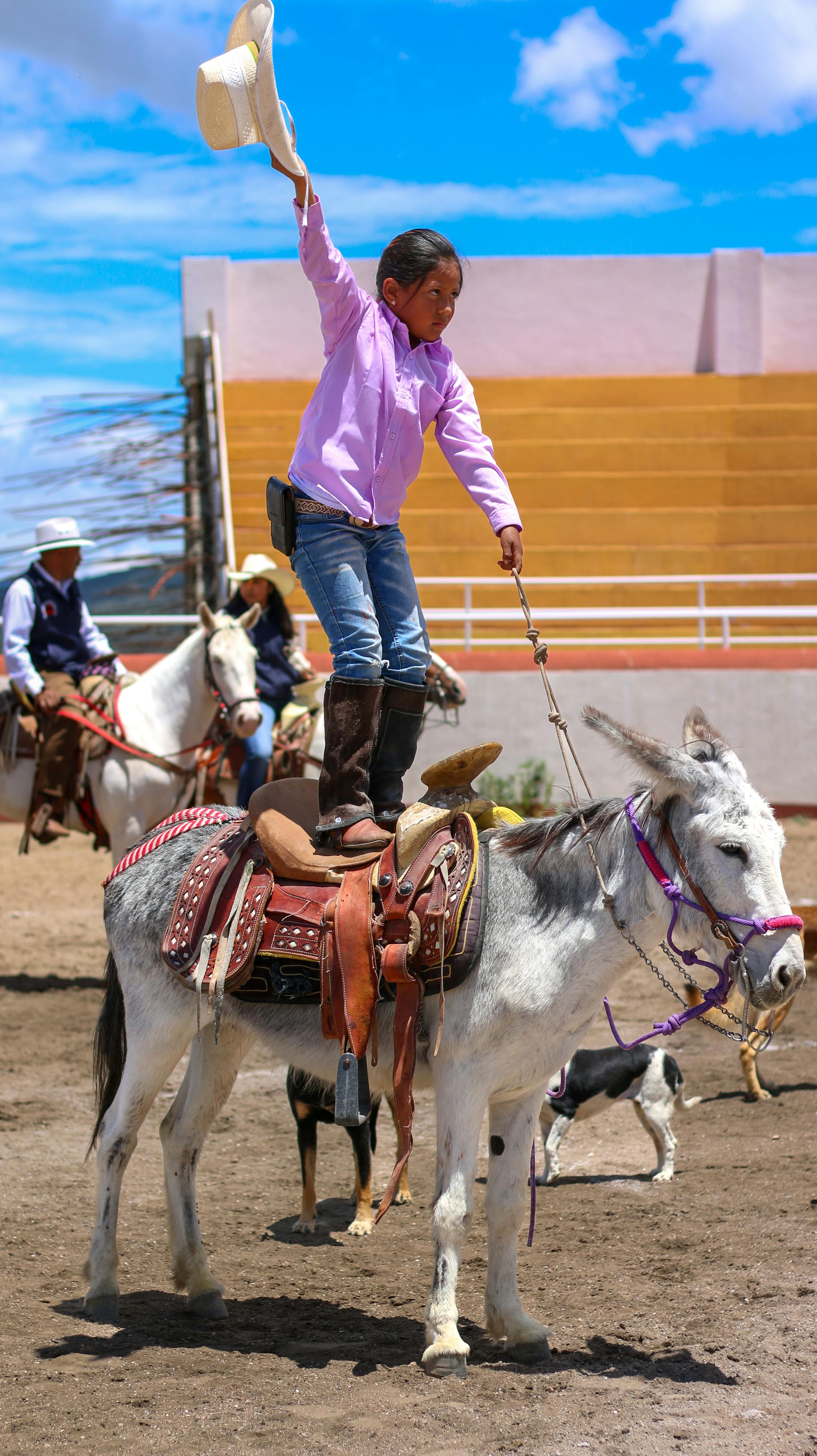 A young girl riding a donkey at a rodeo · Free Stock Photo