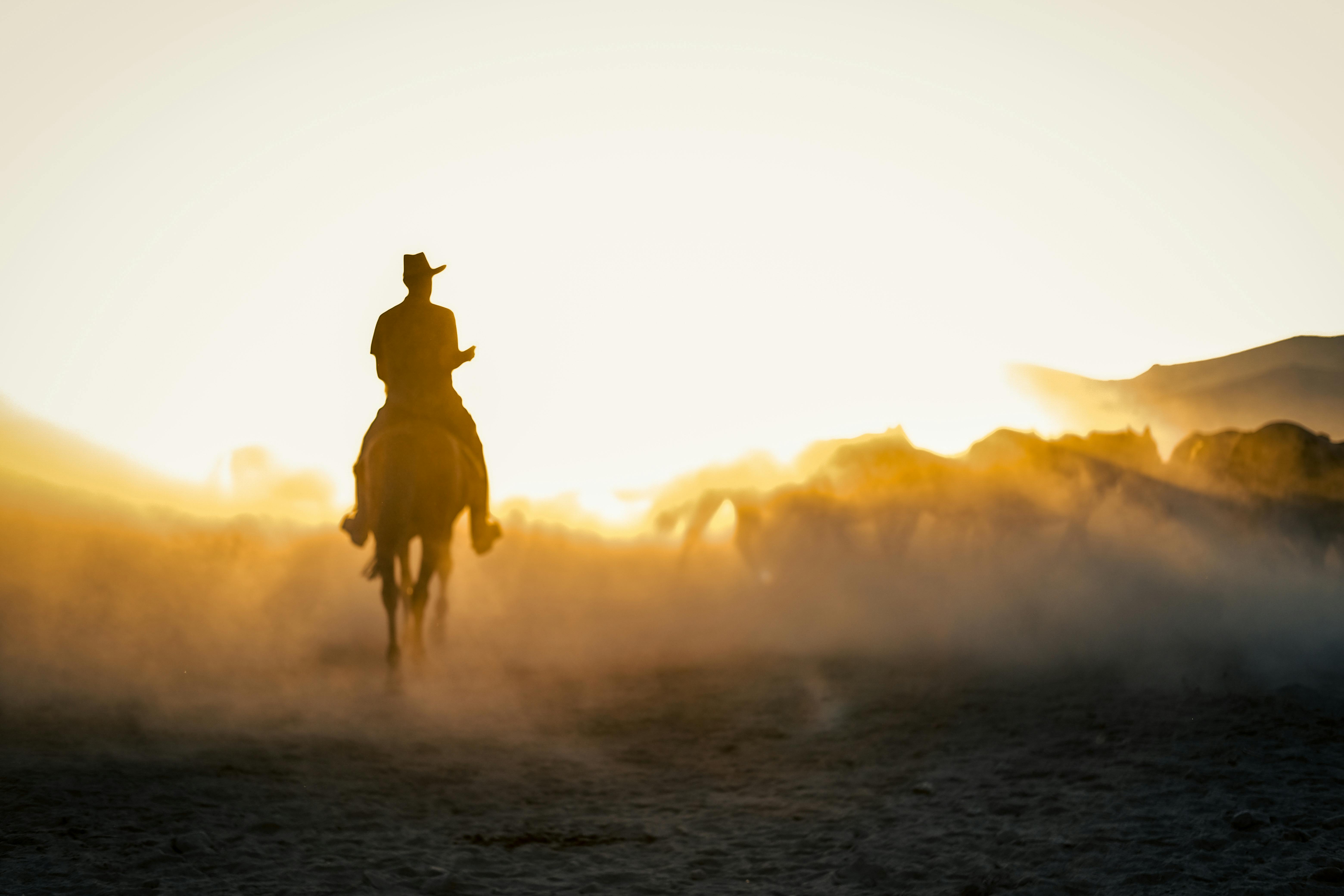 Cowboy Riding Away Photos, Download The BEST Free Cowboy Riding Away ...