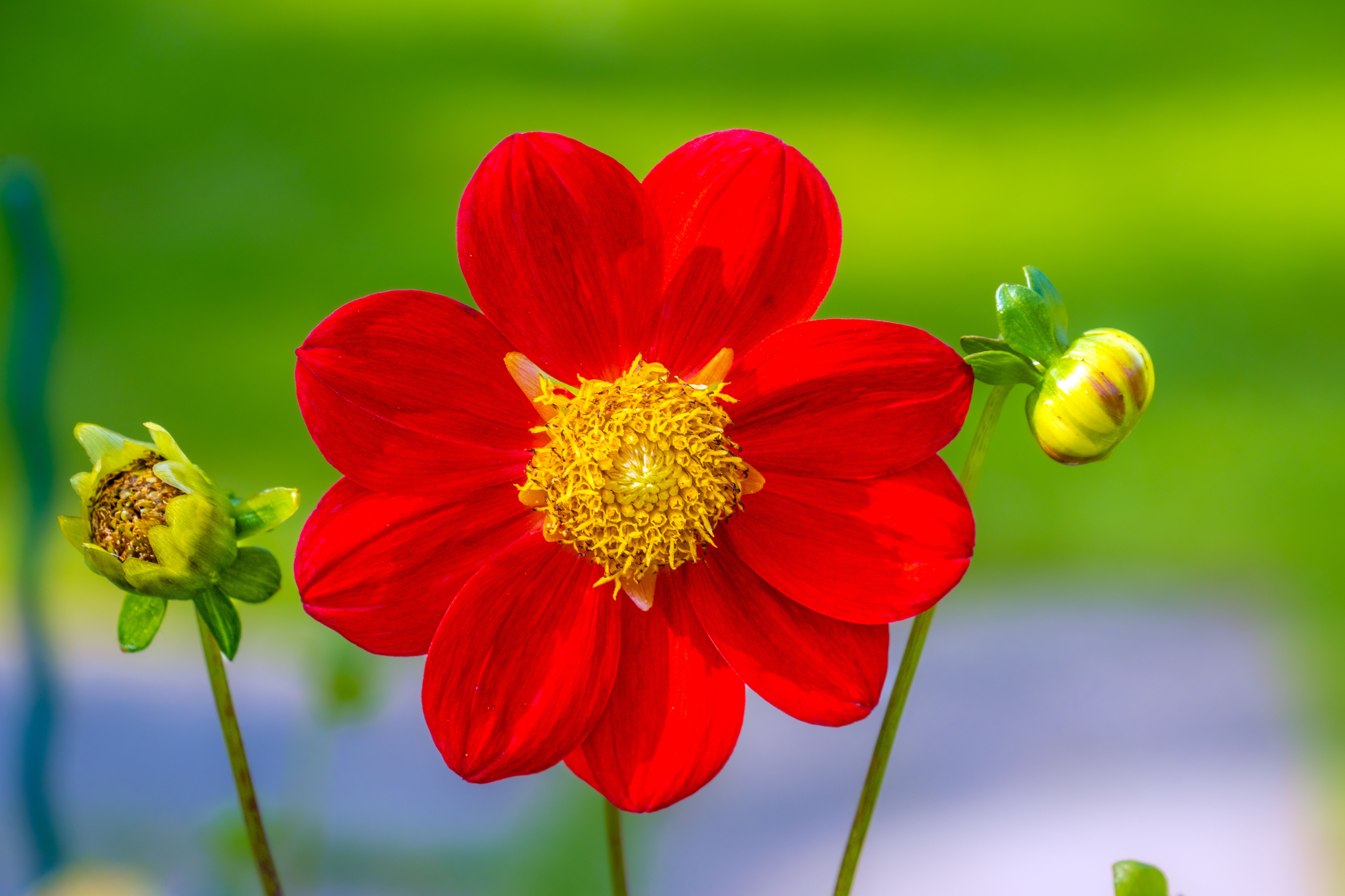 Colourfull Landscape Photos, Download The BEST Free Colourfull ...