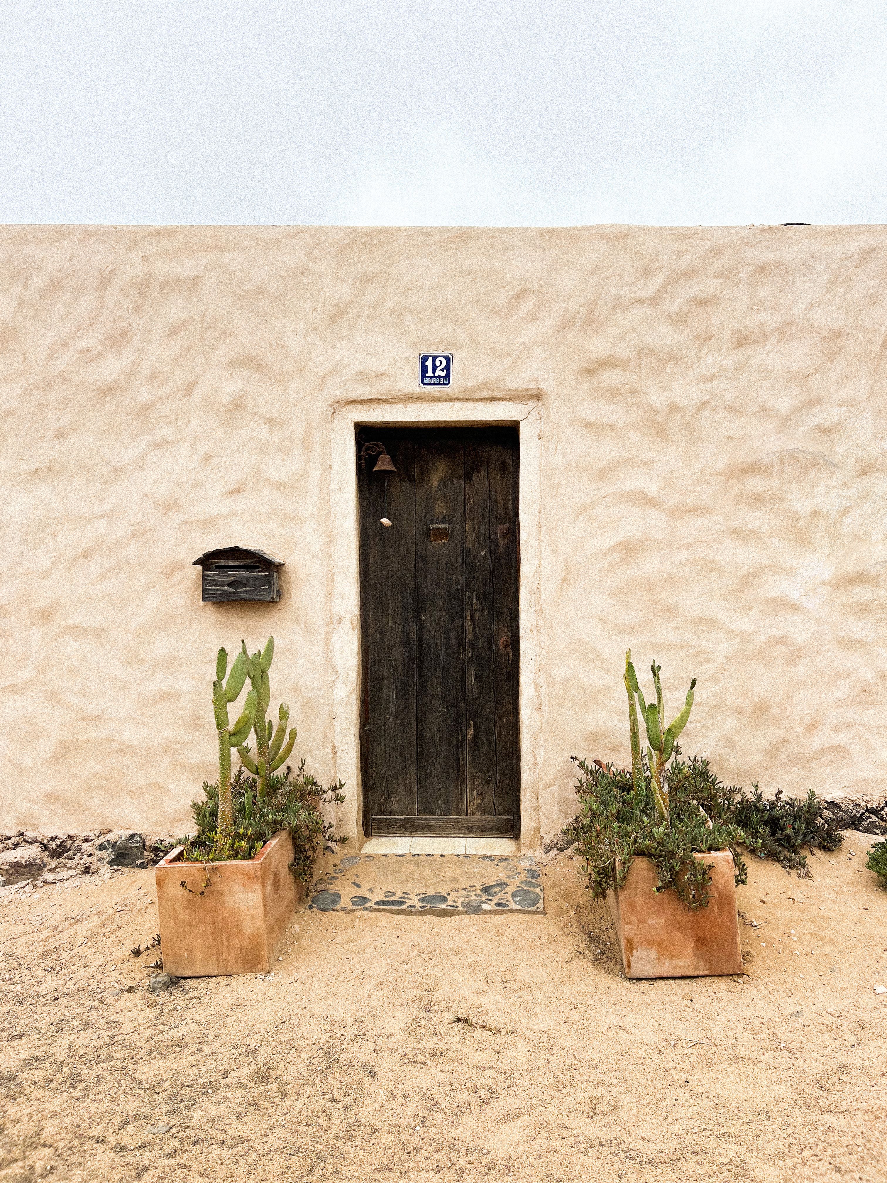 A door with cactus plants in front of it · Free Stock Photo