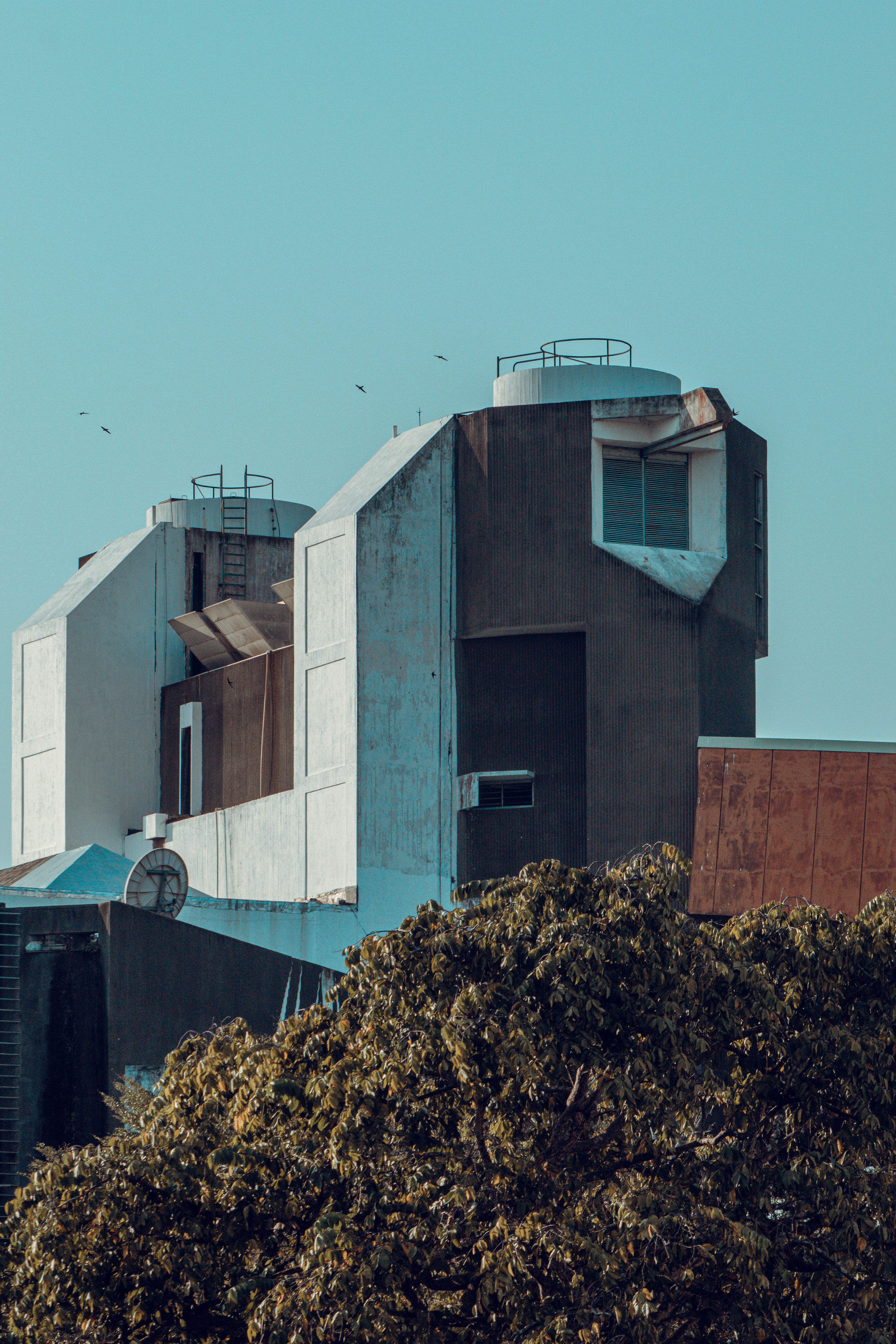 A building with a large roof and a bird flying over it · Free Stock Photo