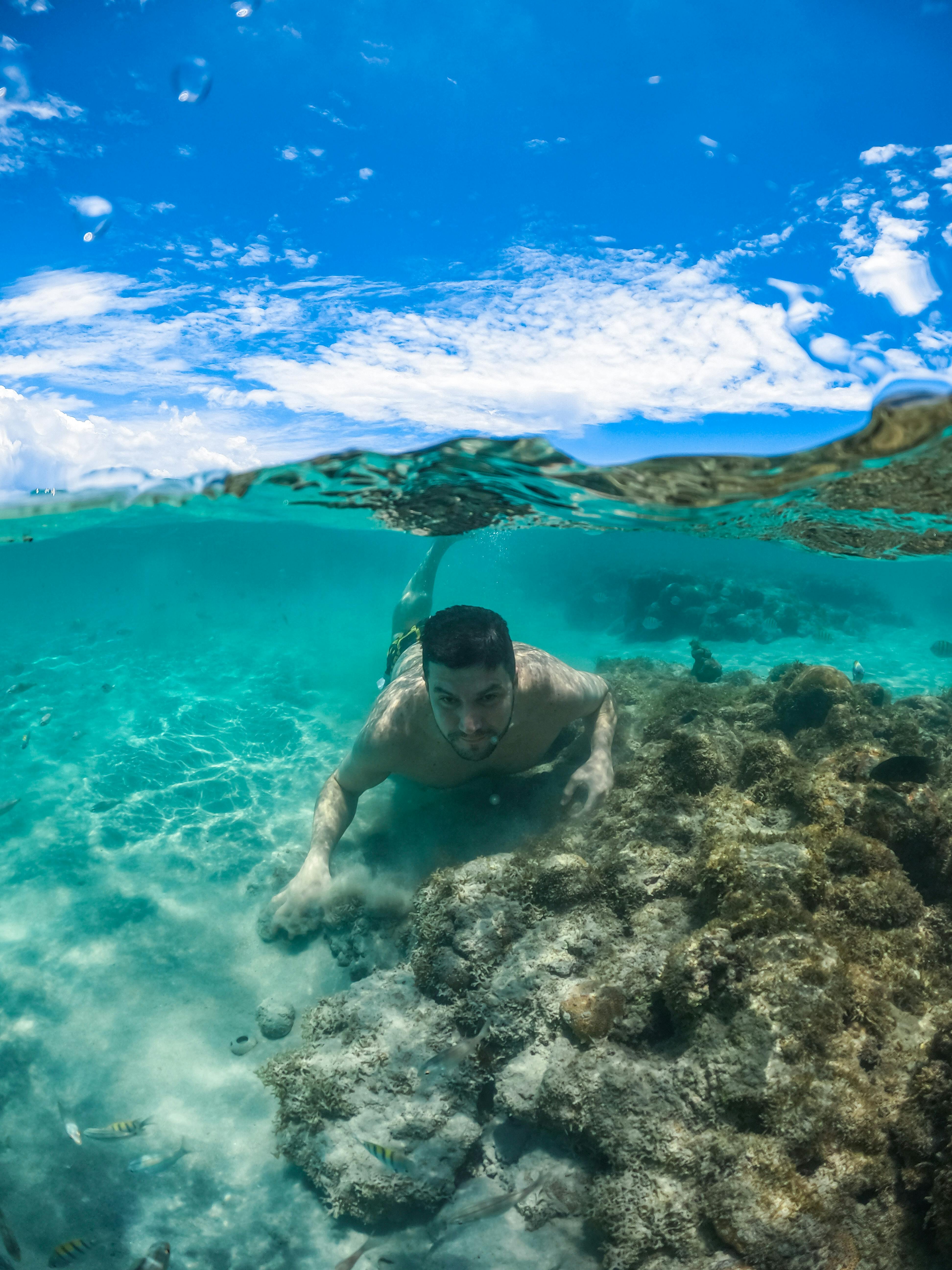 Foto de stock gratuita sobre acuático, agua clara, agua turquesa, aguas ...