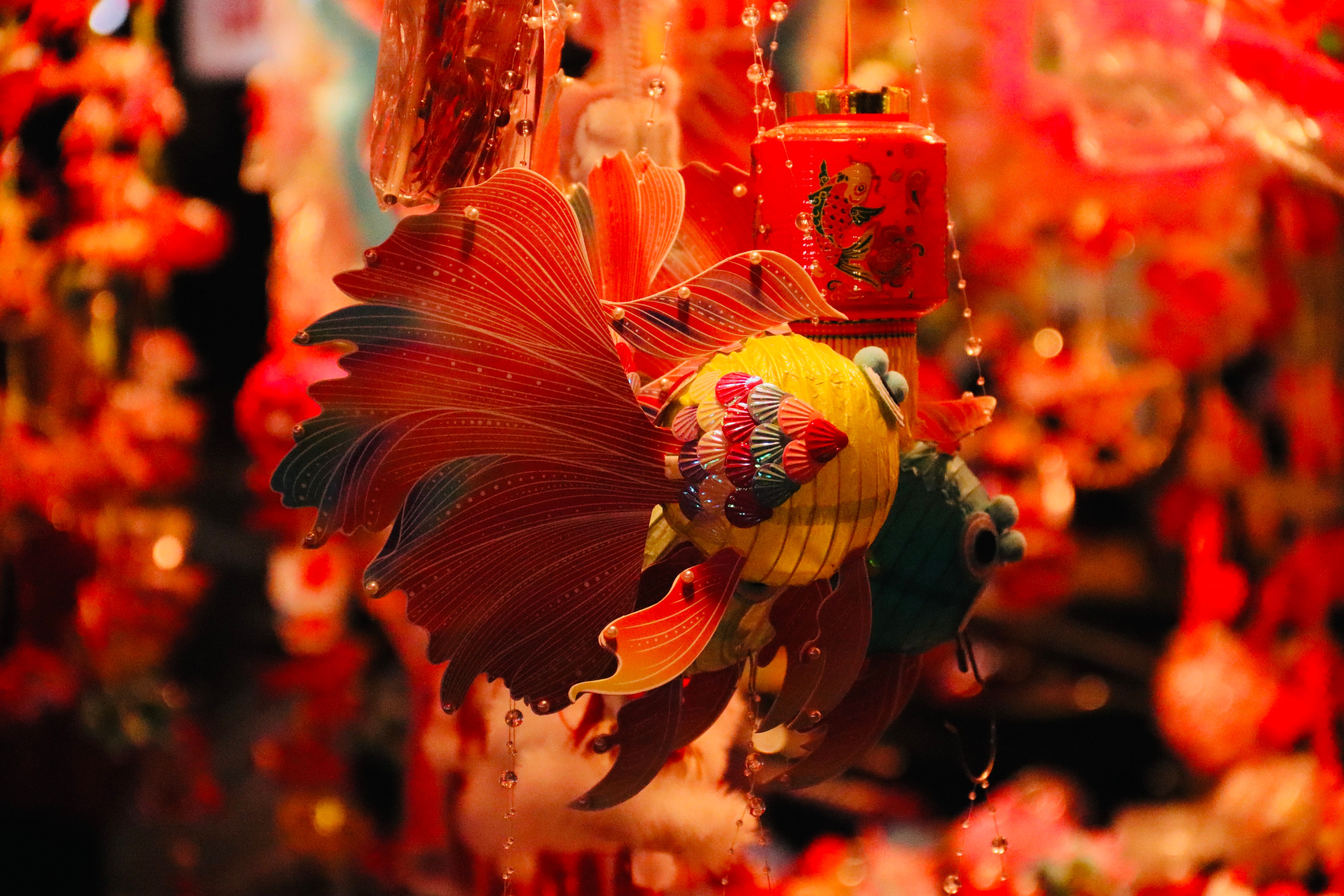 A colorful fish hanging from a string · Free Stock Photo