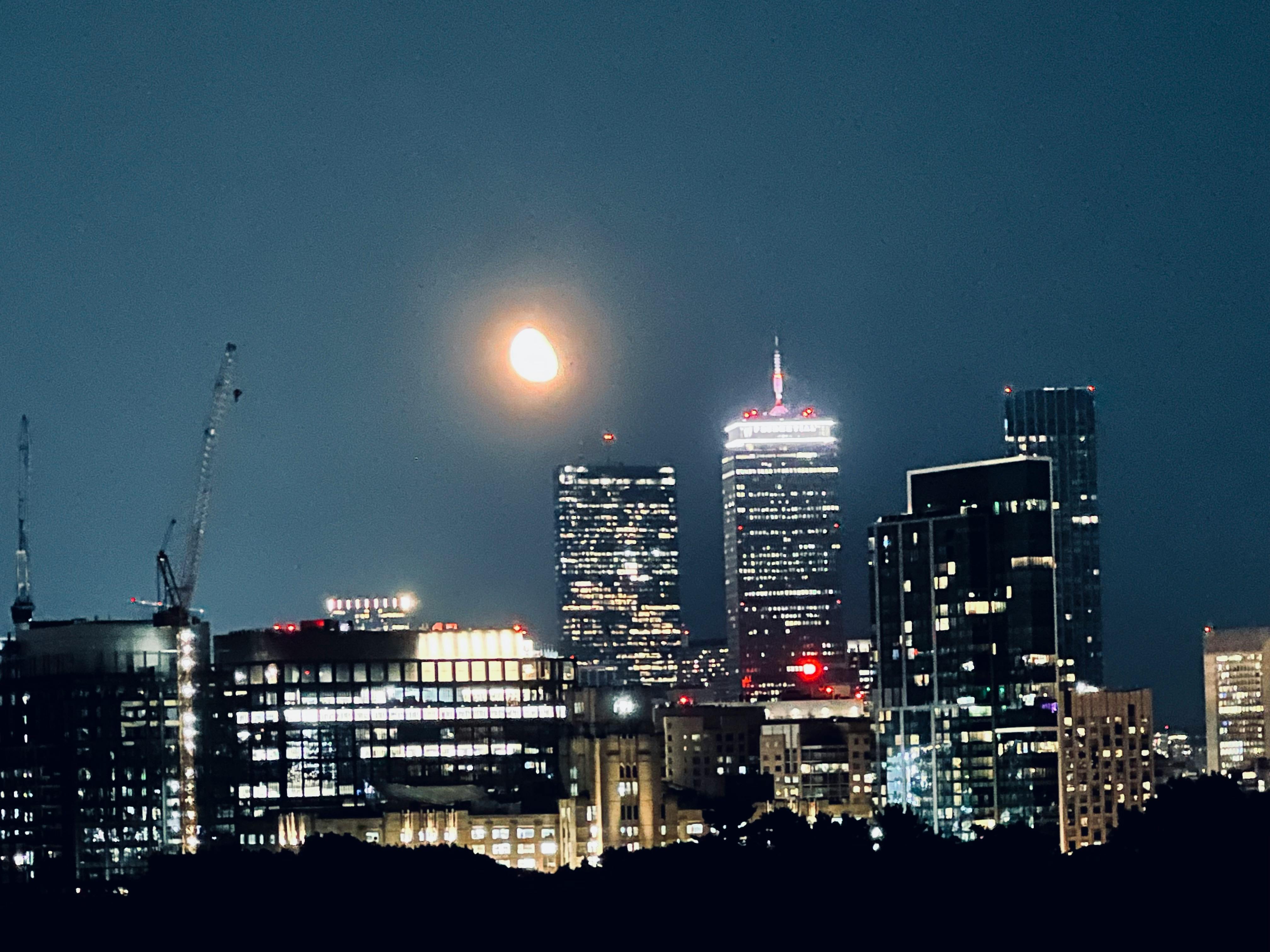 Felicity Nadelson - Photography