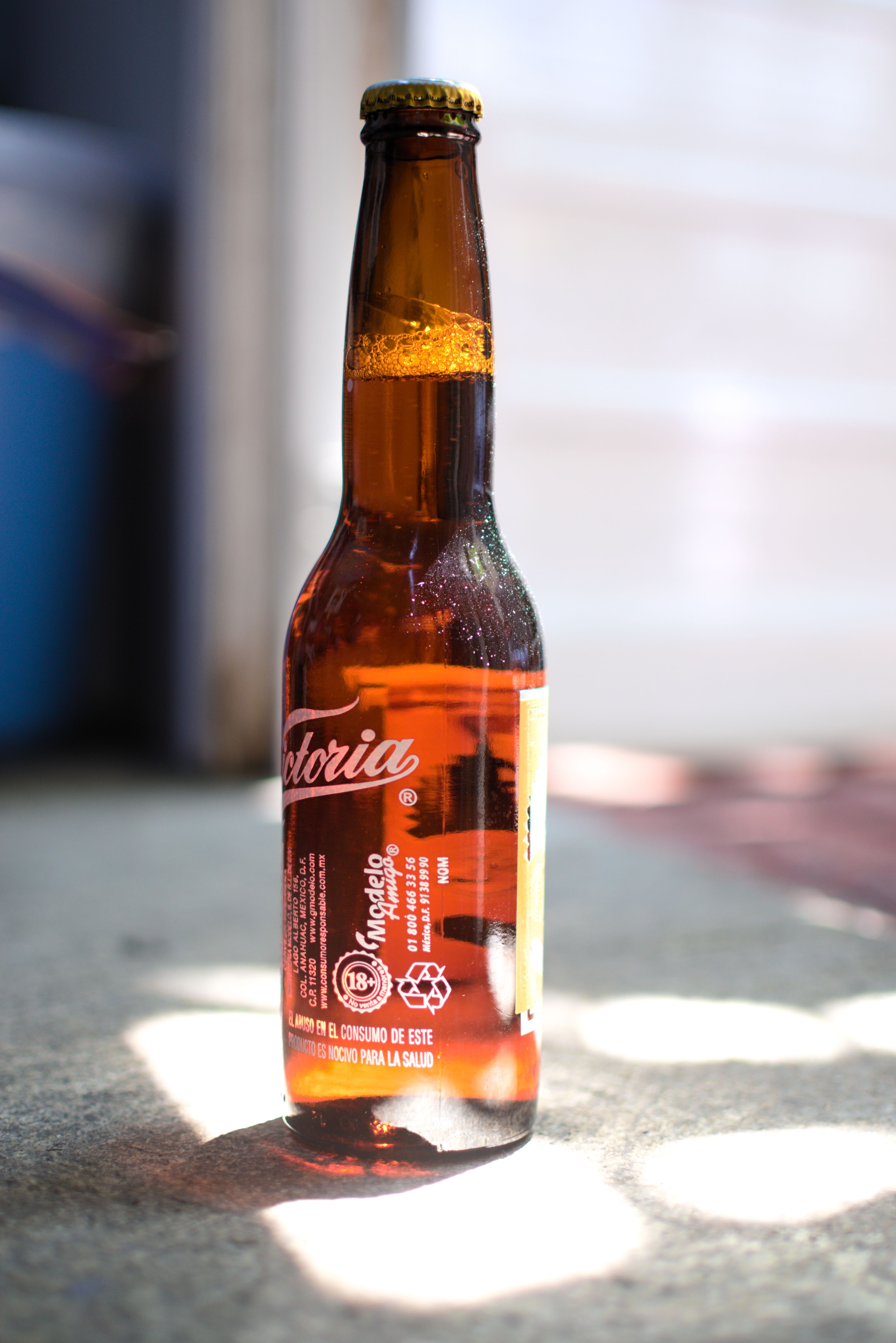 Close-up Photography of Red Bull in Can · Free Stock Photo