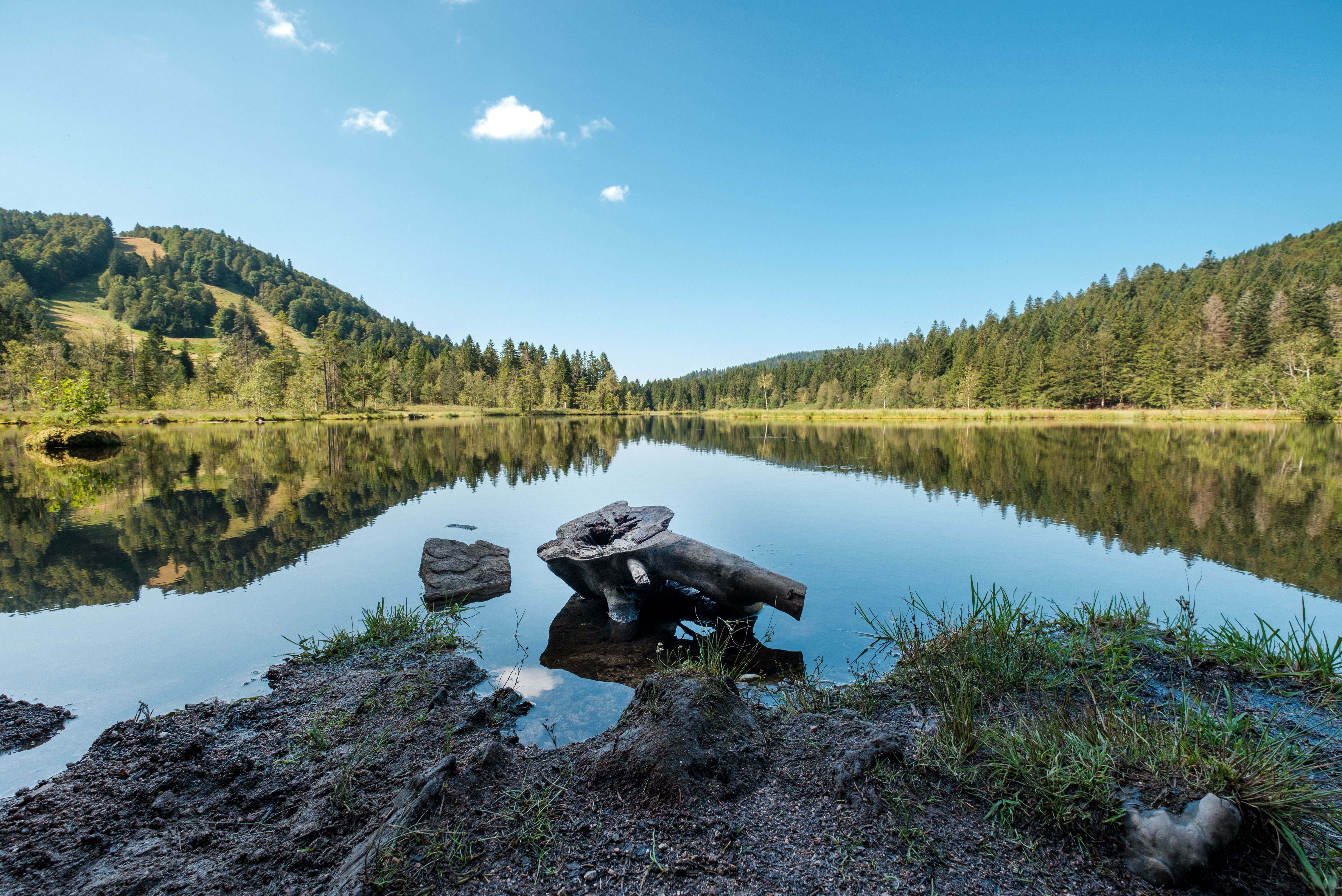 A lake with a log sitting in the water · Free Stock Photo