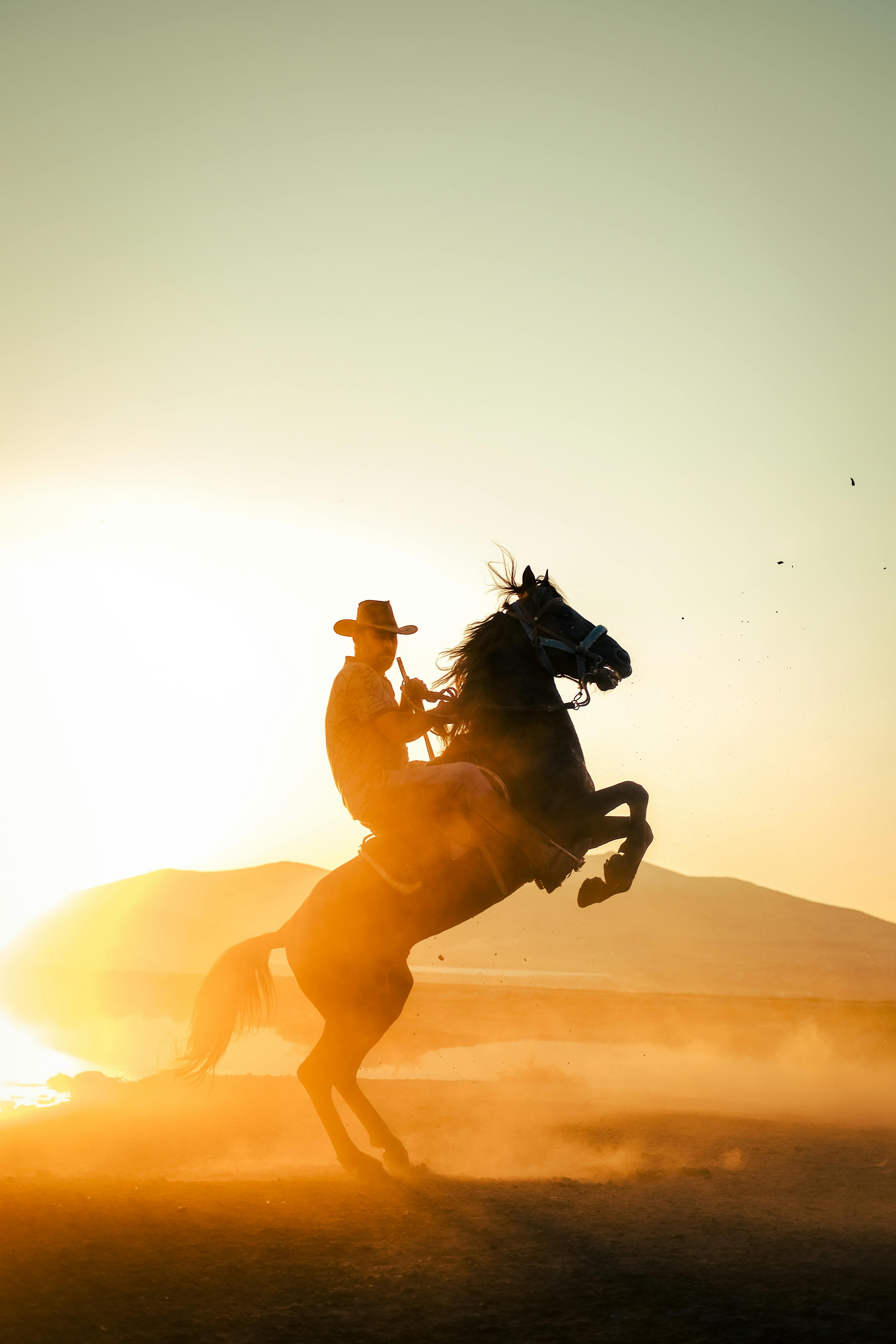 A cowboy riding a horse at sunset · Free Stock Photo