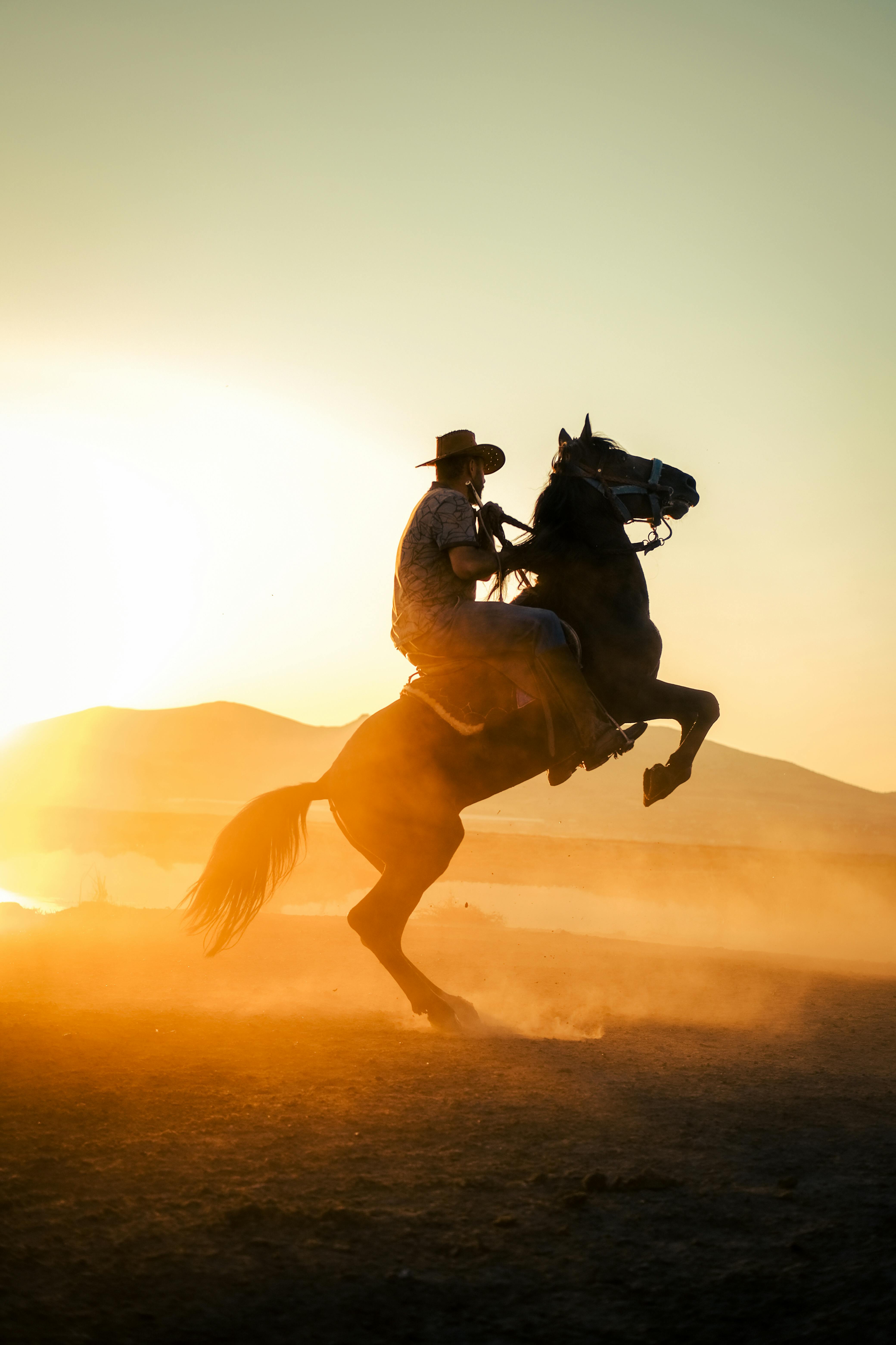 A cowboy riding a horse at sunset · Free Stock Photo