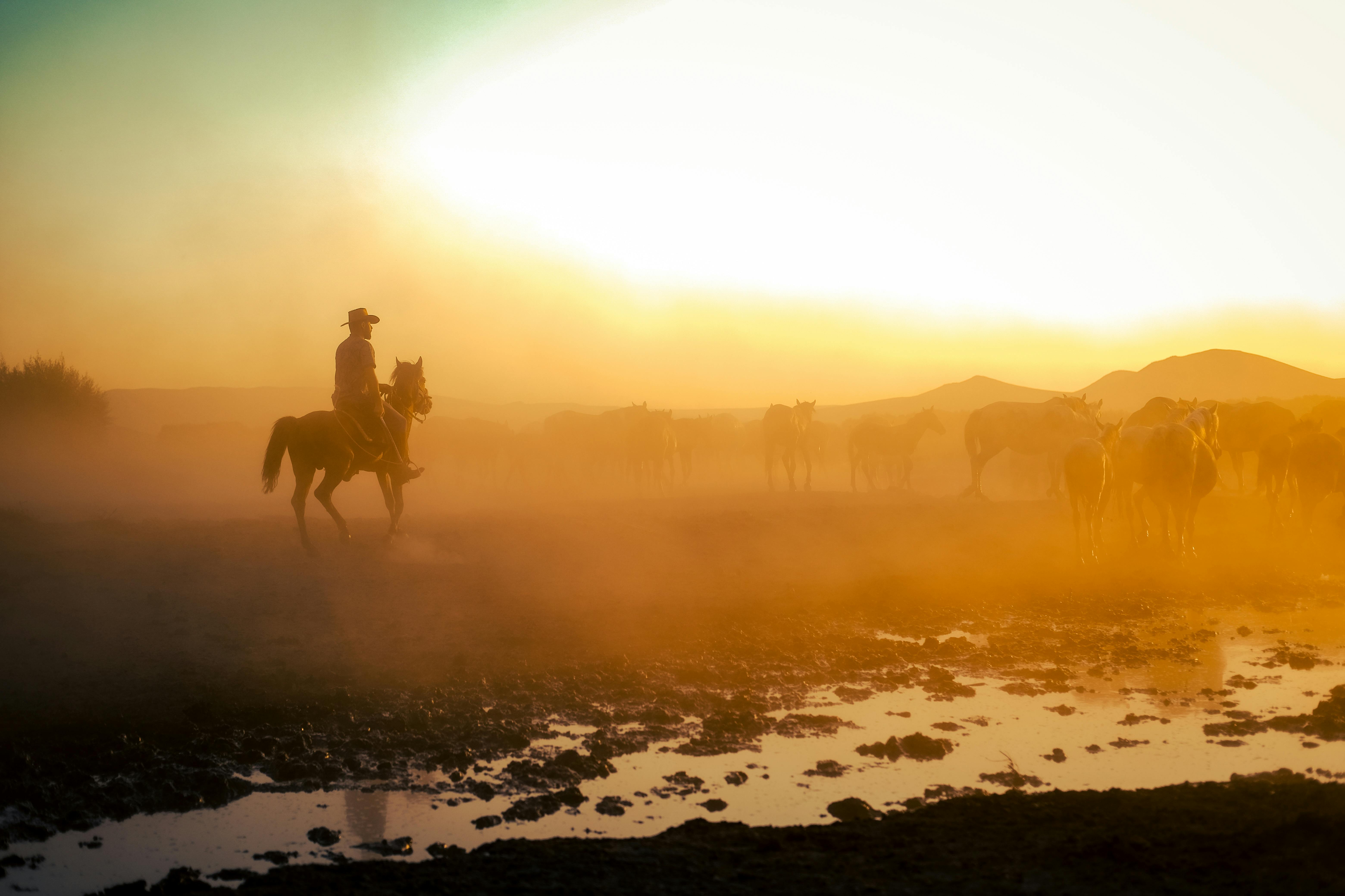 A cowboy riding his horse through a dusty field · Free Stock Photo