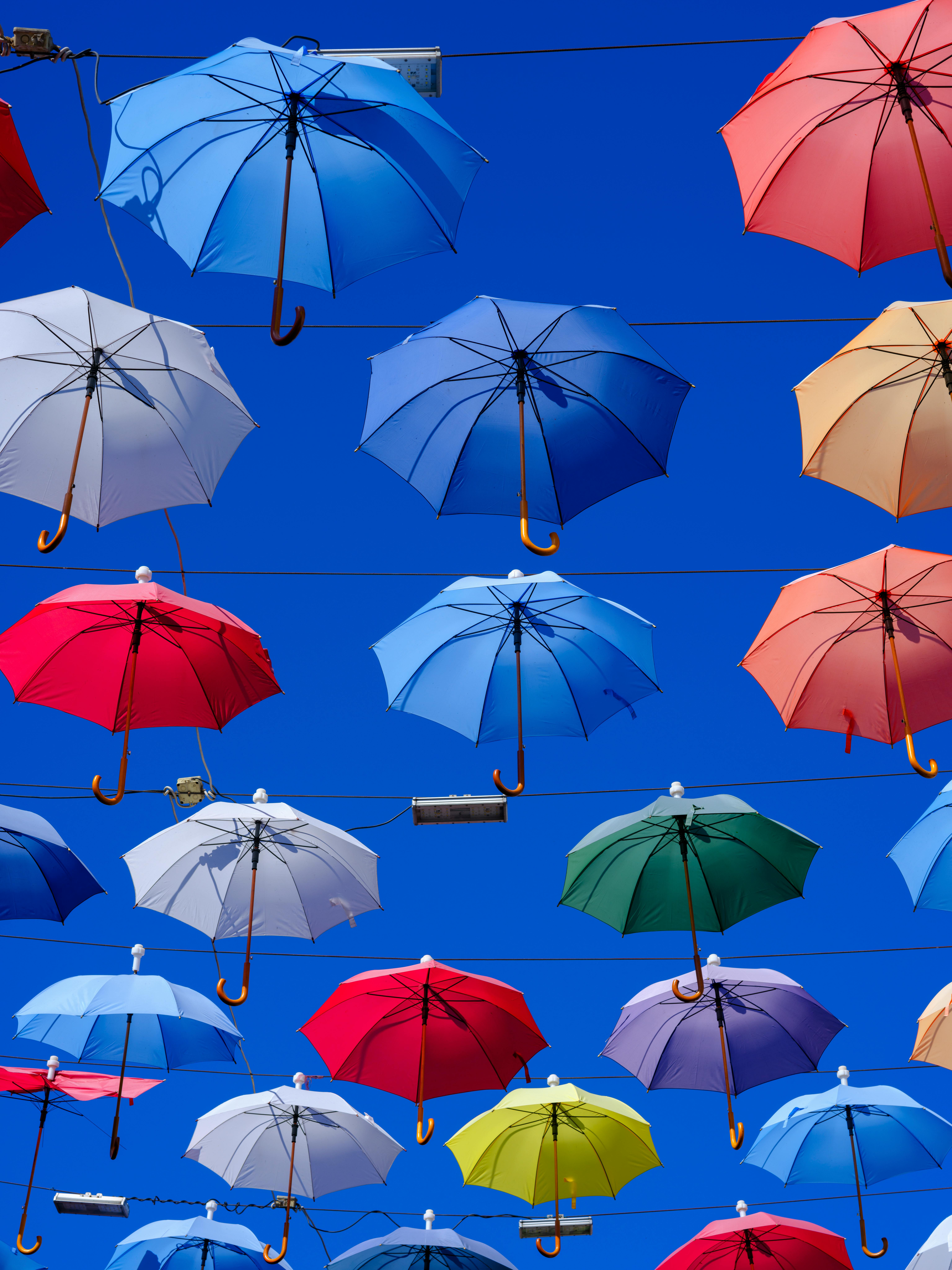 Assorted-colors Umbrella · Free Stock Photo