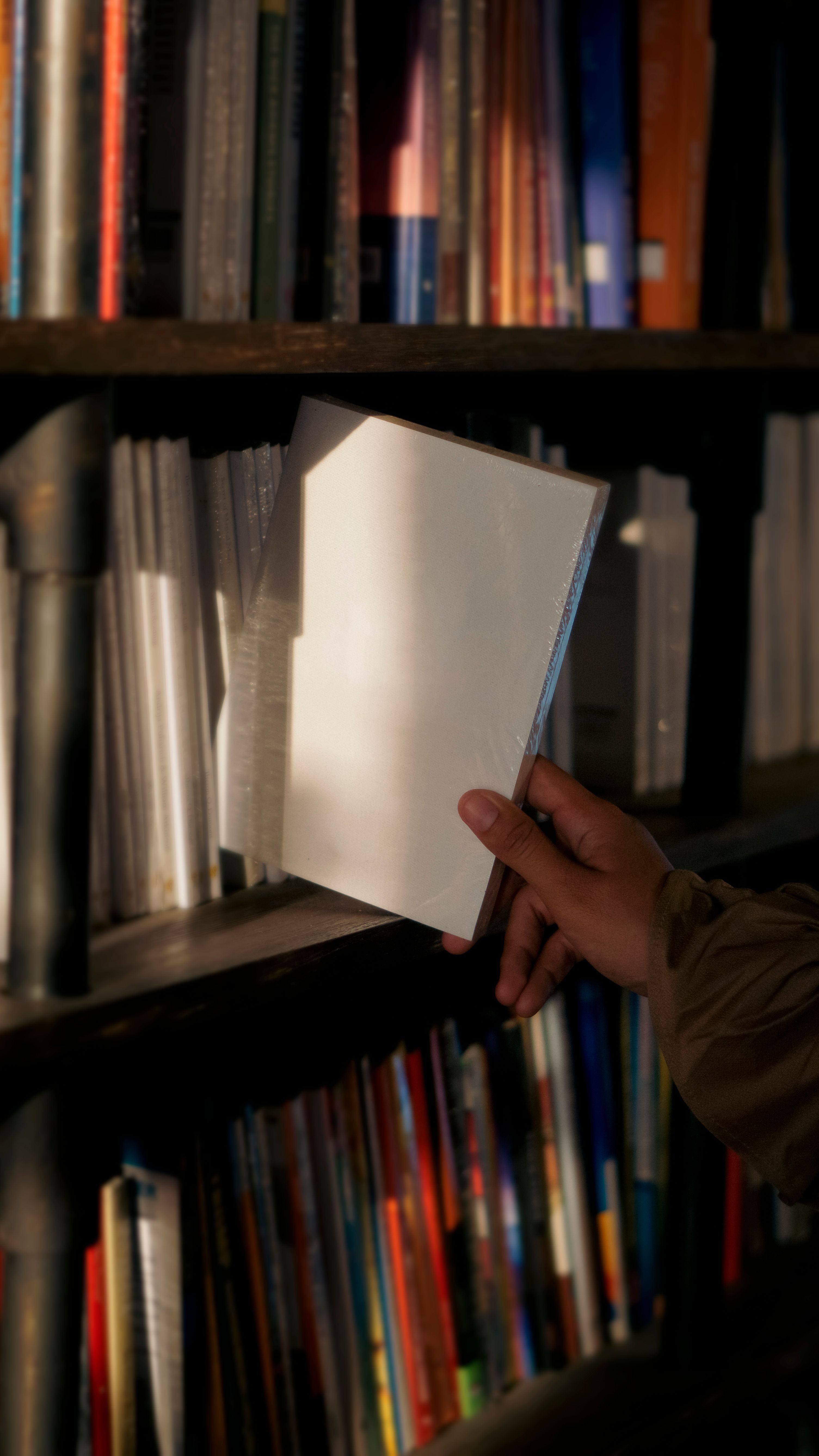 hand picking a book from the bookshelf in library · Free Stock Photo