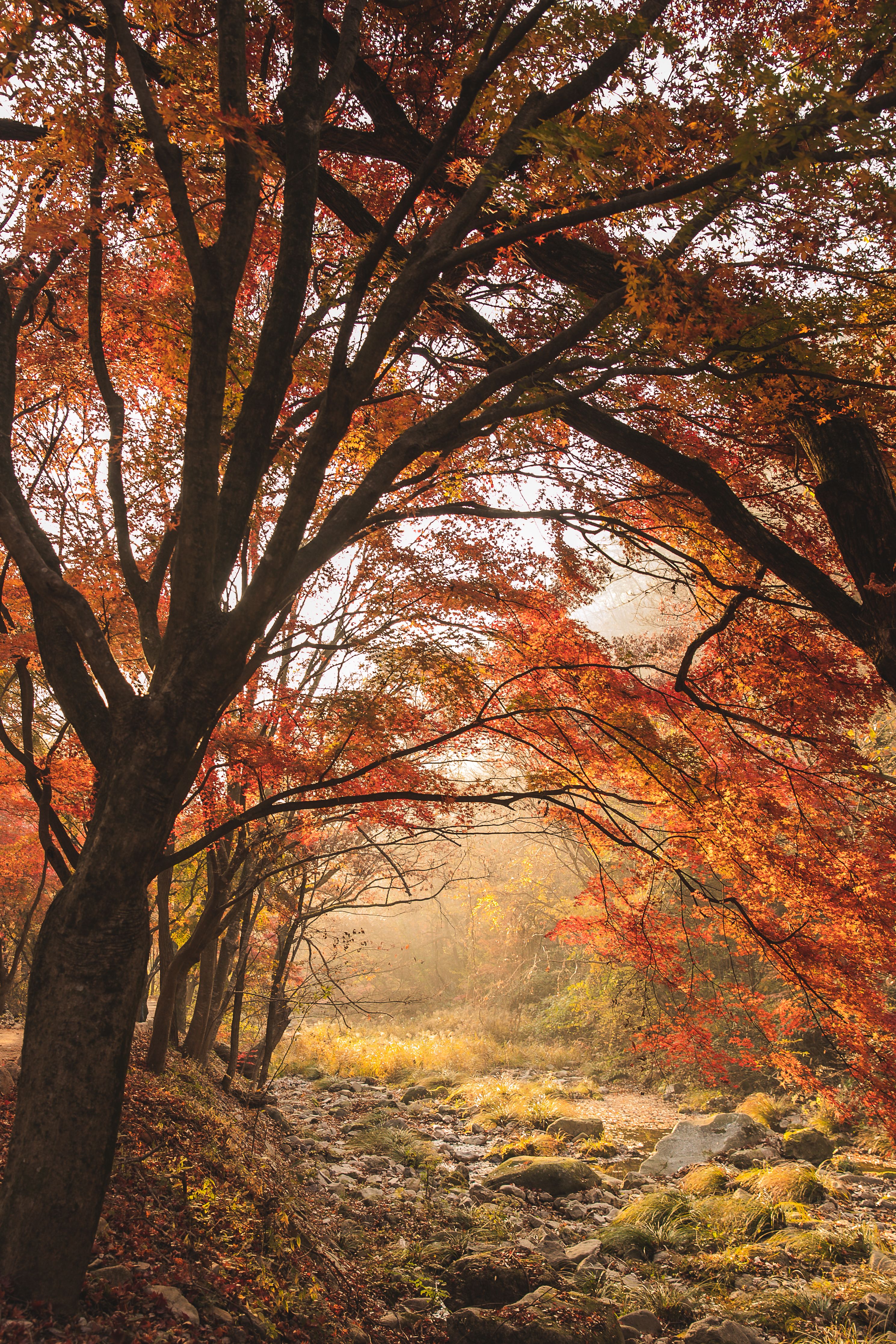 the taste of autumn · Free Stock Photo