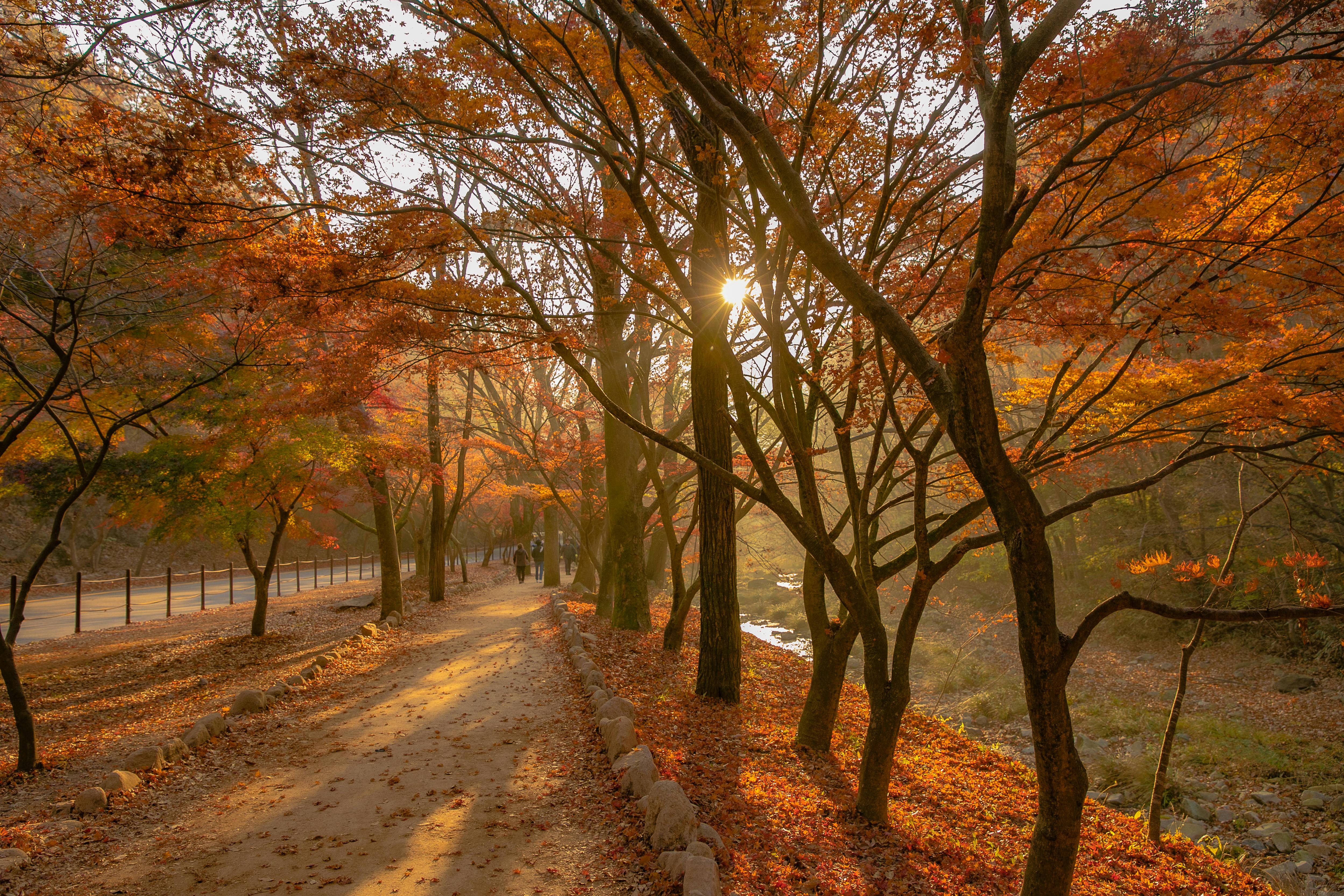 the taste of autumn · Free Stock Photo