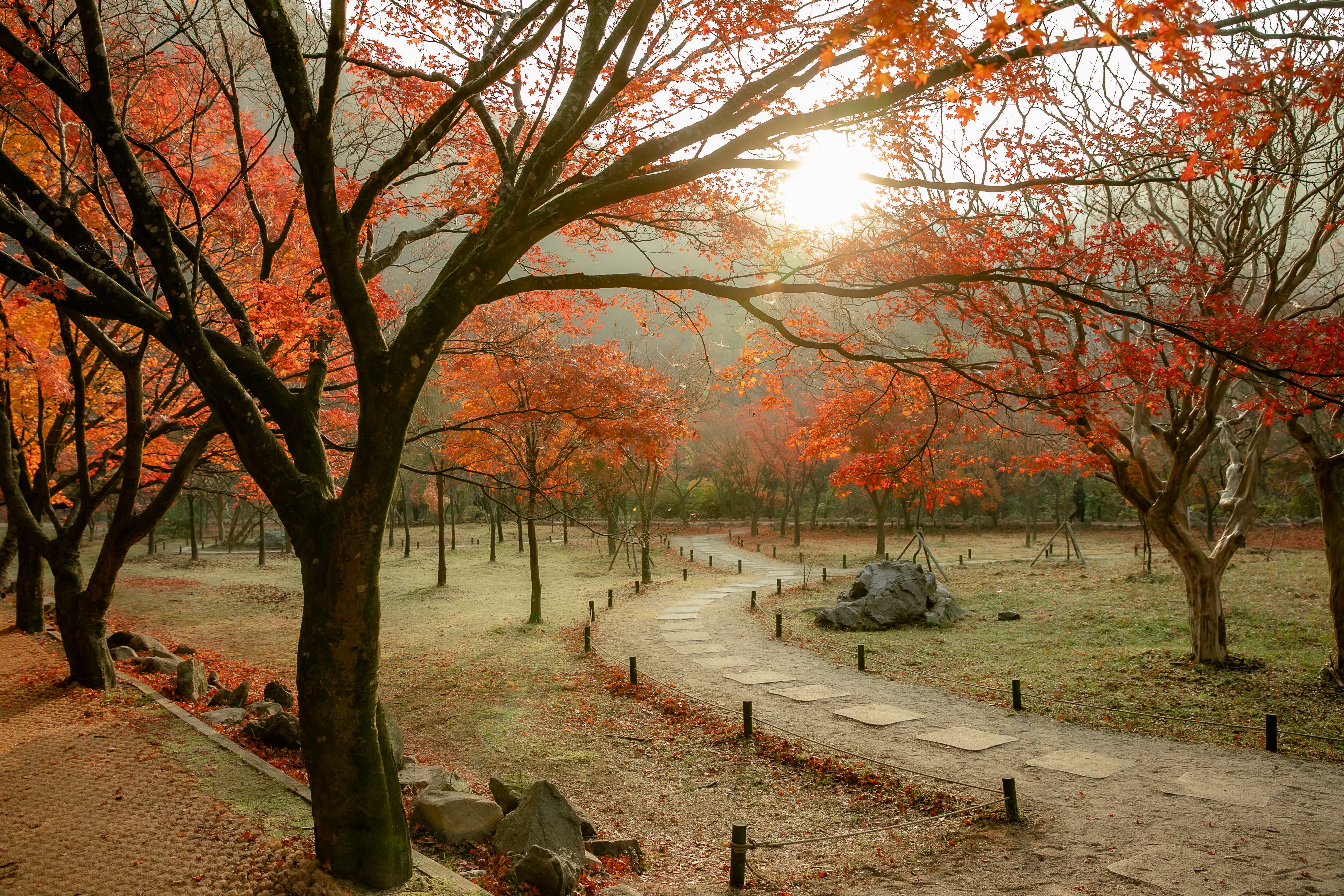 the taste of autumn · Free Stock Photo