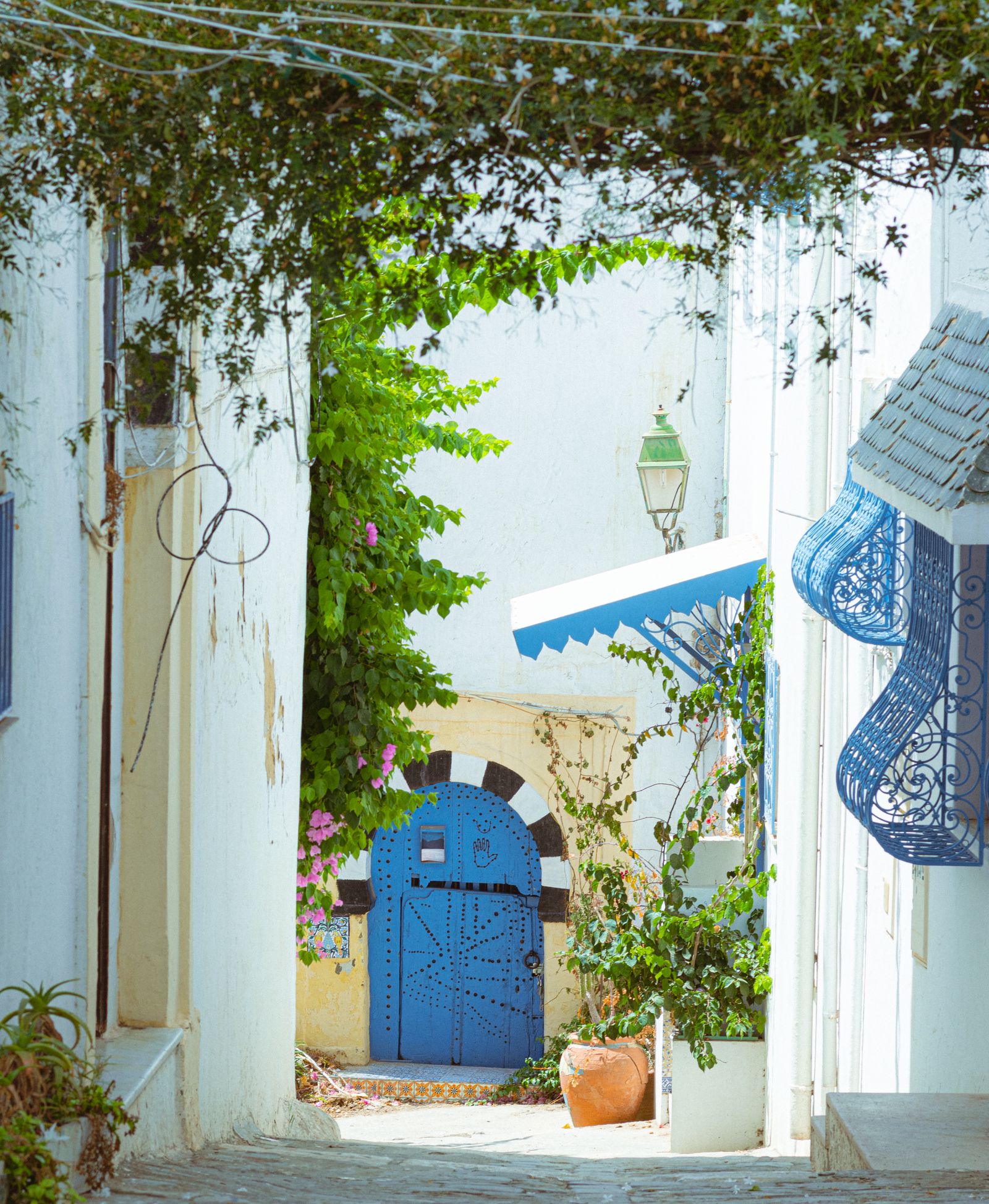 Tunisia Photos, Download The BEST Free Tunisia Stock Photos & HD Images