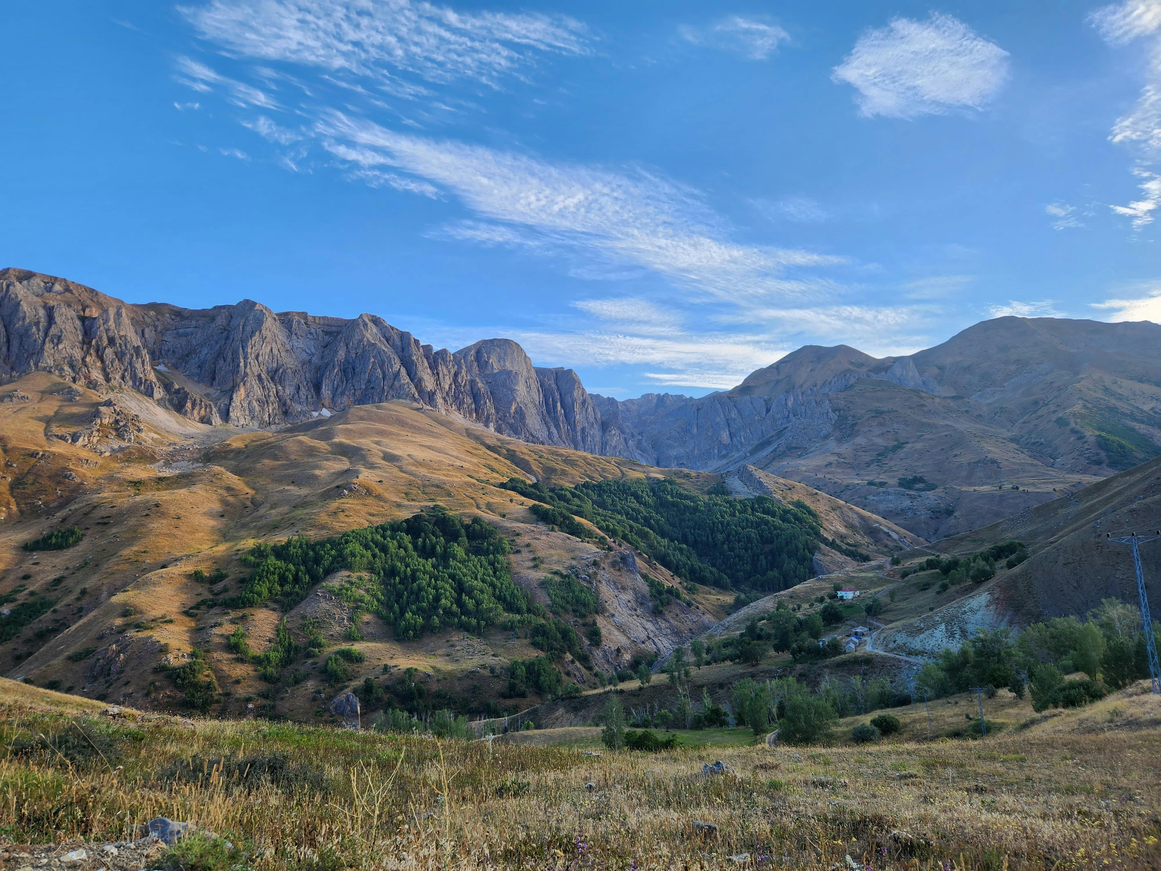 Brown Green Plant on Cliff of Green Grassy Mountain · Free Stock Photo