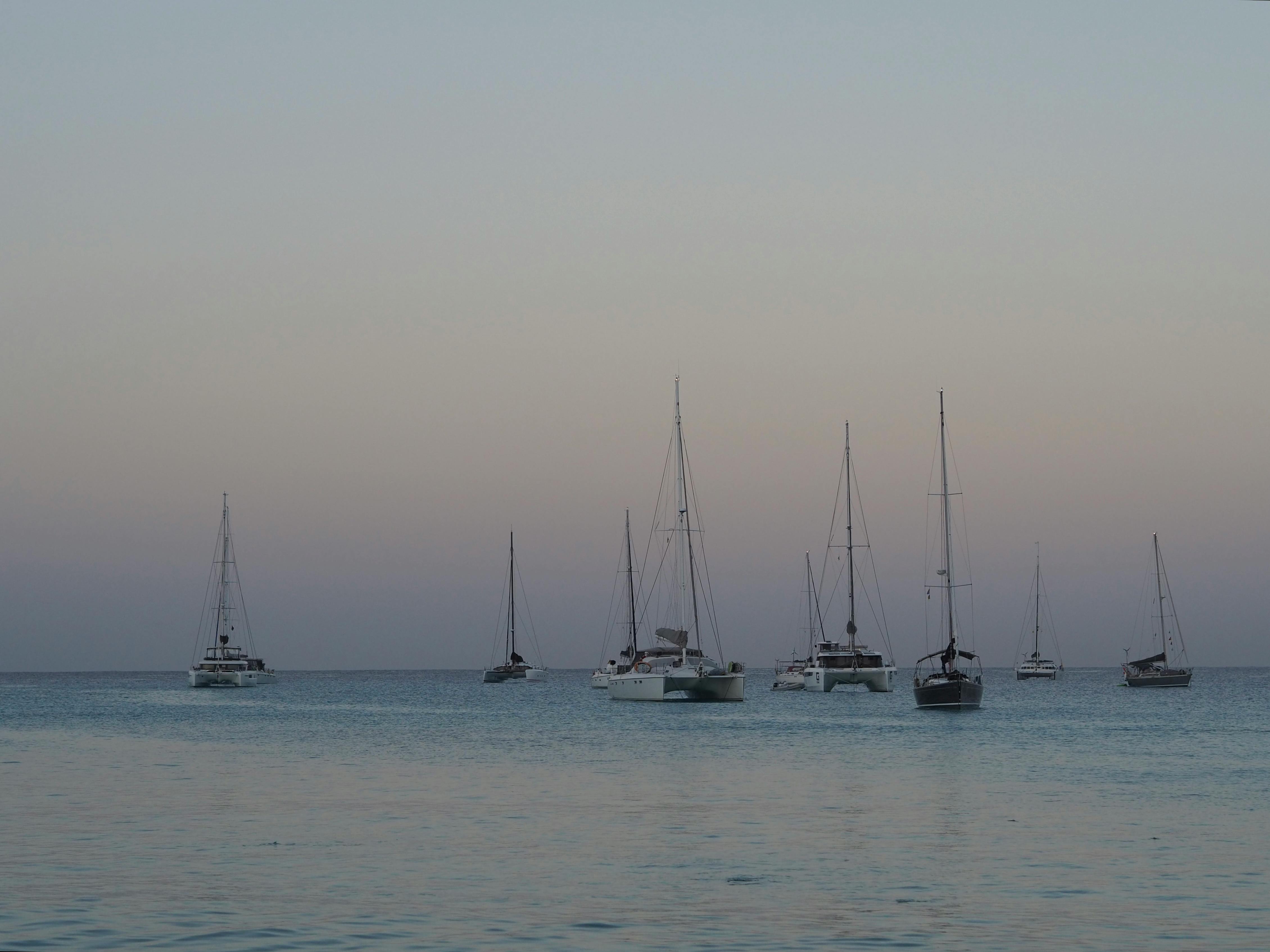 Emily Carter - Photography