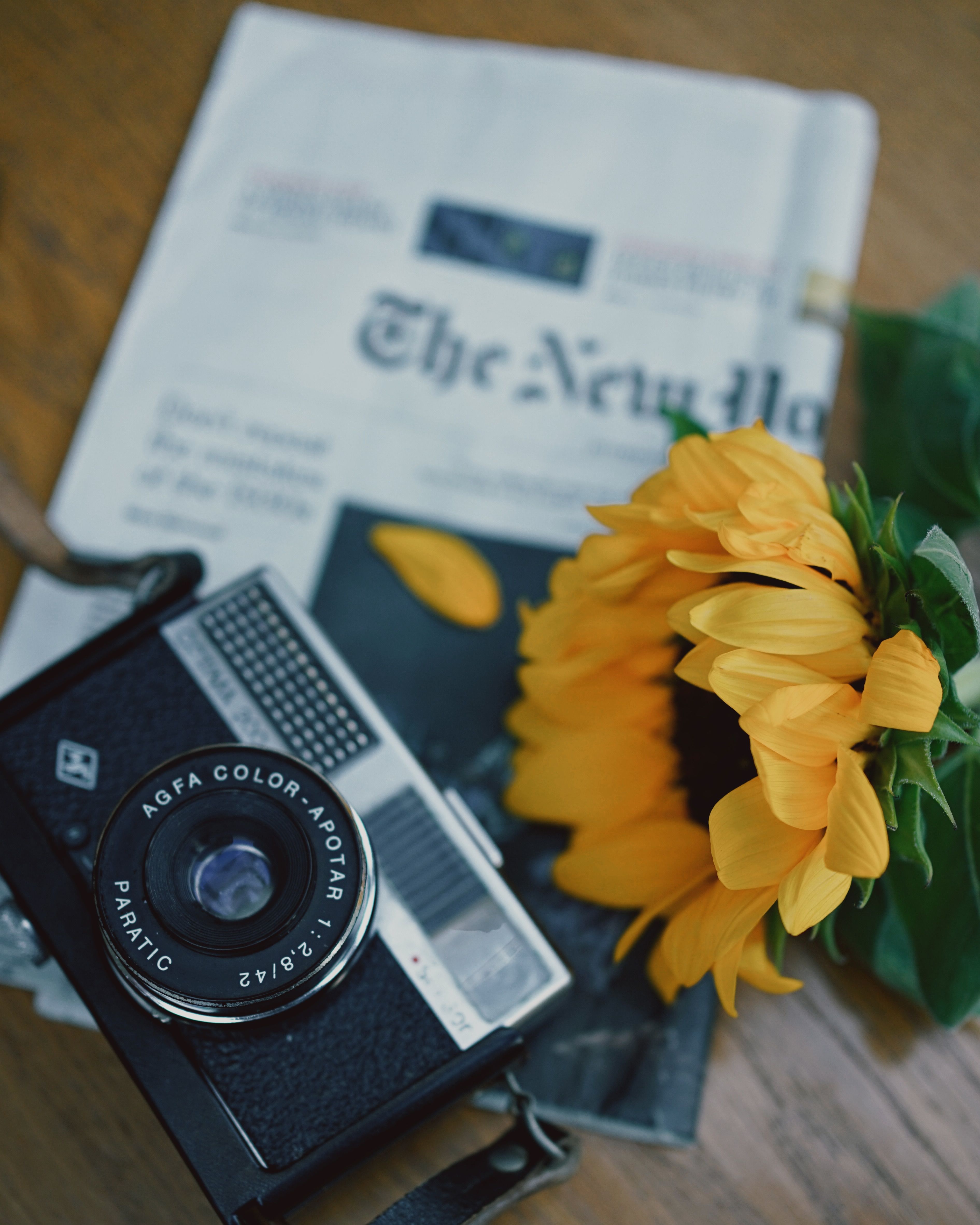 Created with RNI Films app. Profile 'Fuji Instax' · Free Stock Photo
