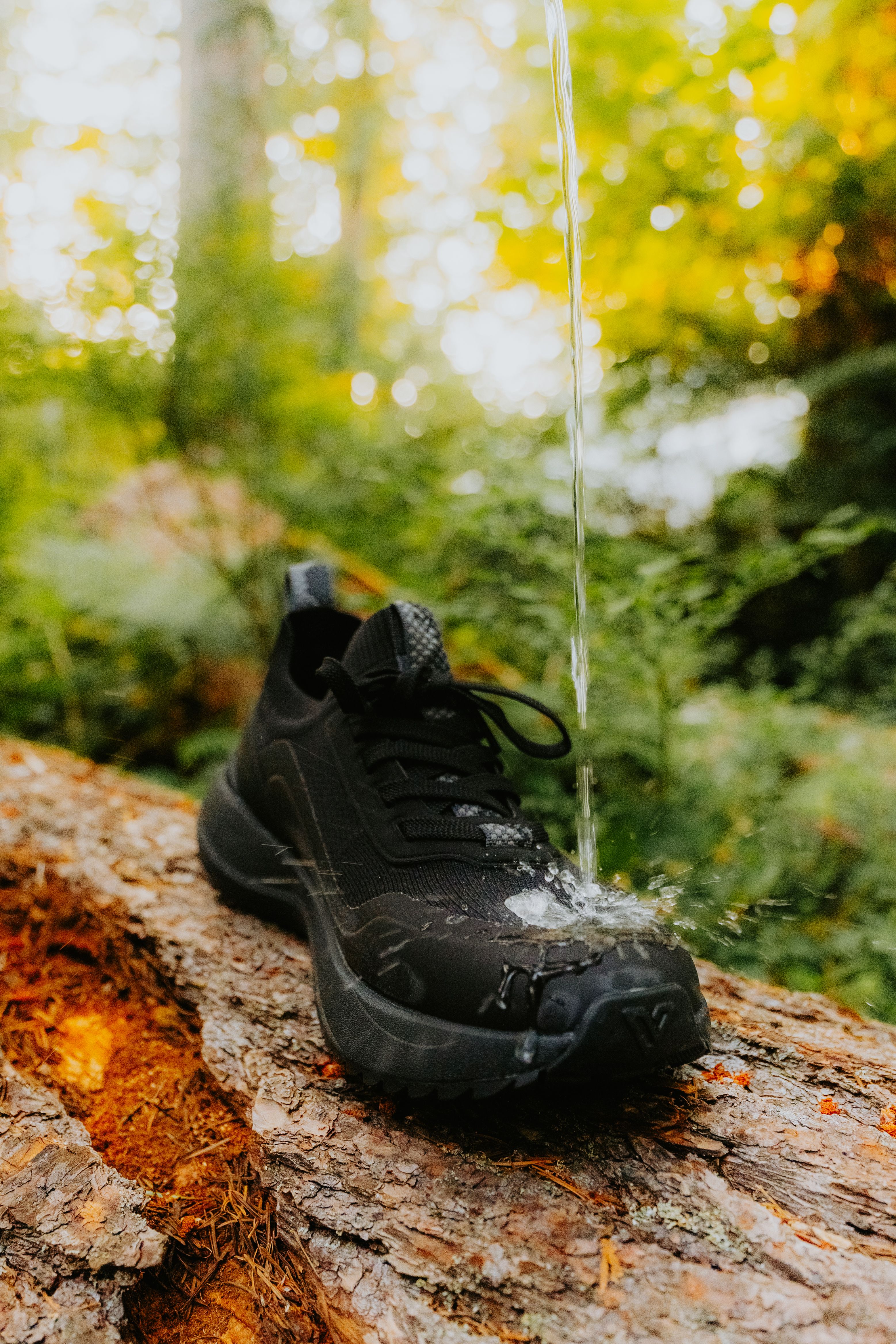 A black shoe is sitting on top of a tree stump · Free Stock Photo