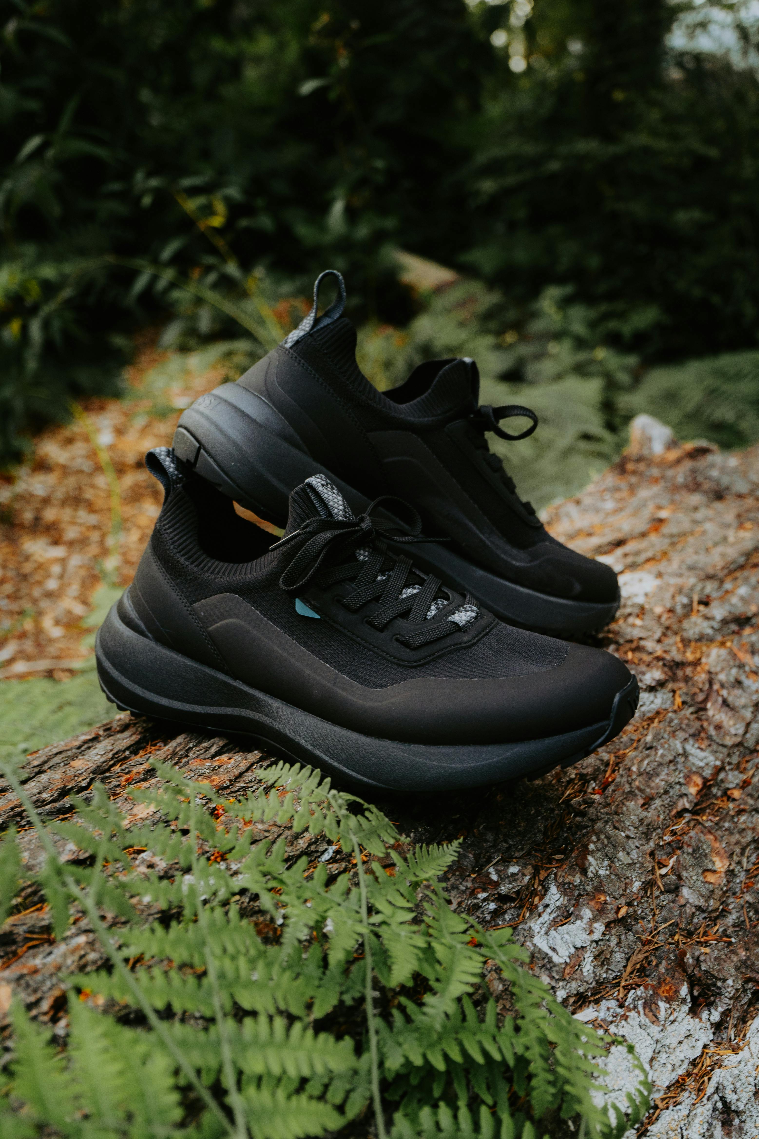 Black Outdoor Shoes on Tree Trunk in Forest · Free Stock Photo