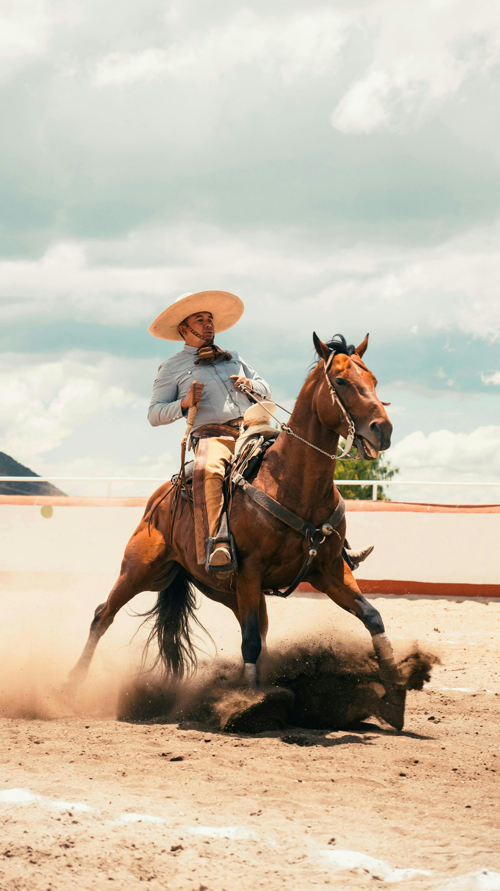 483+ Fotos y Imágenes de Charro Gratis · Banco de Fotos Gratis