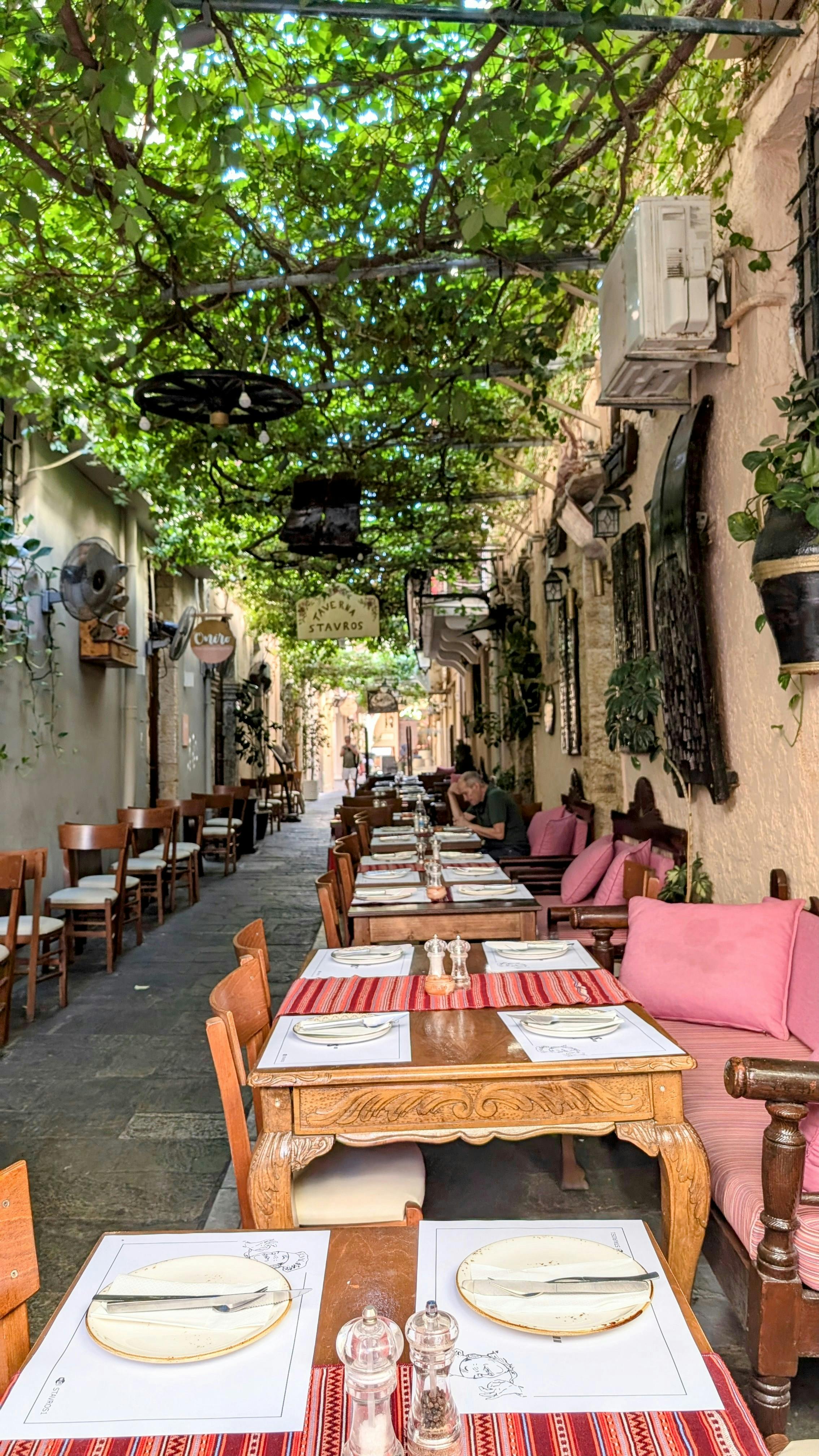 Backyard of House with Trees and Chairs under Tree · Free Stock Photo