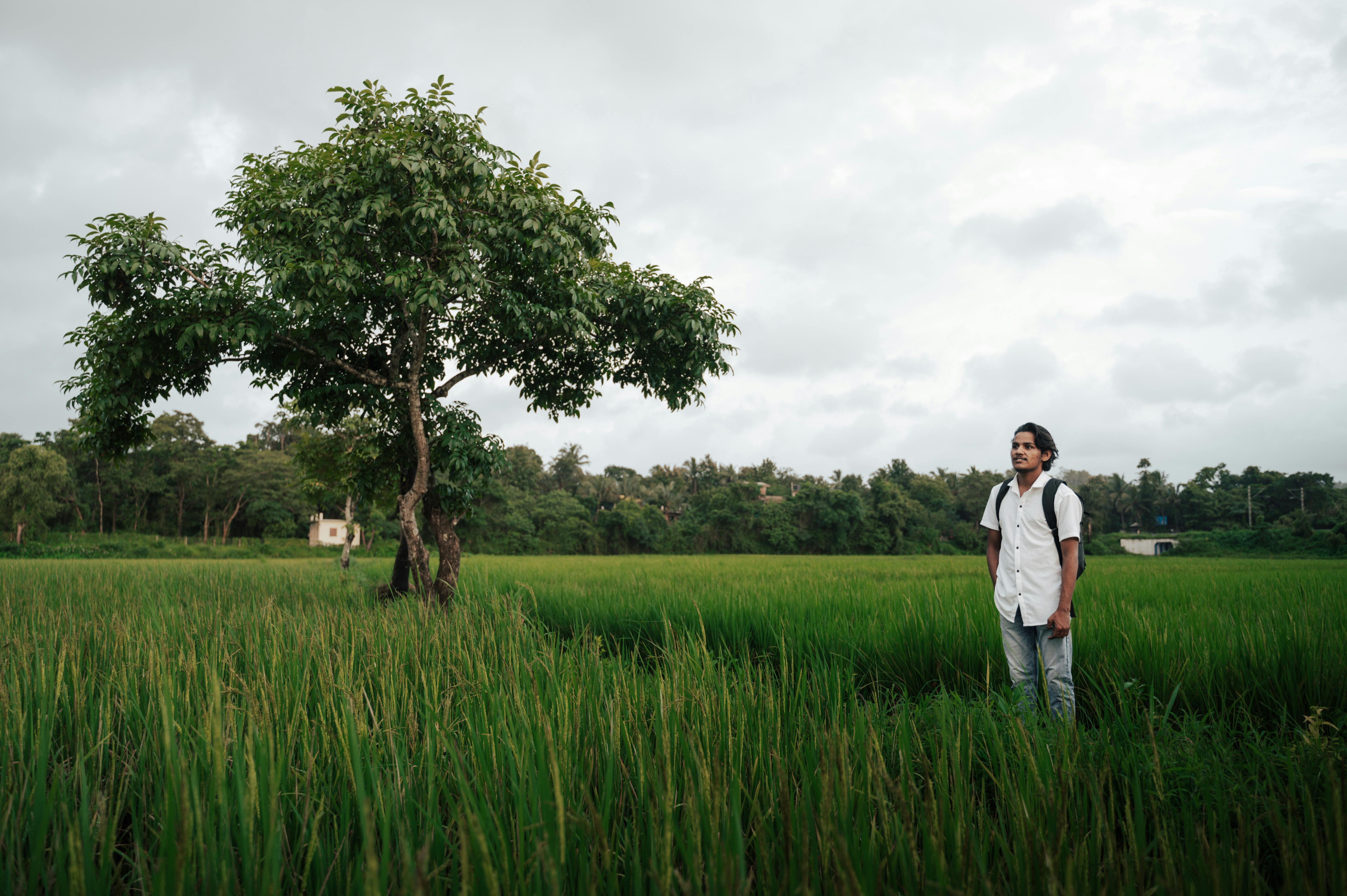 Nature Give you more Peace · Free Stock Photo