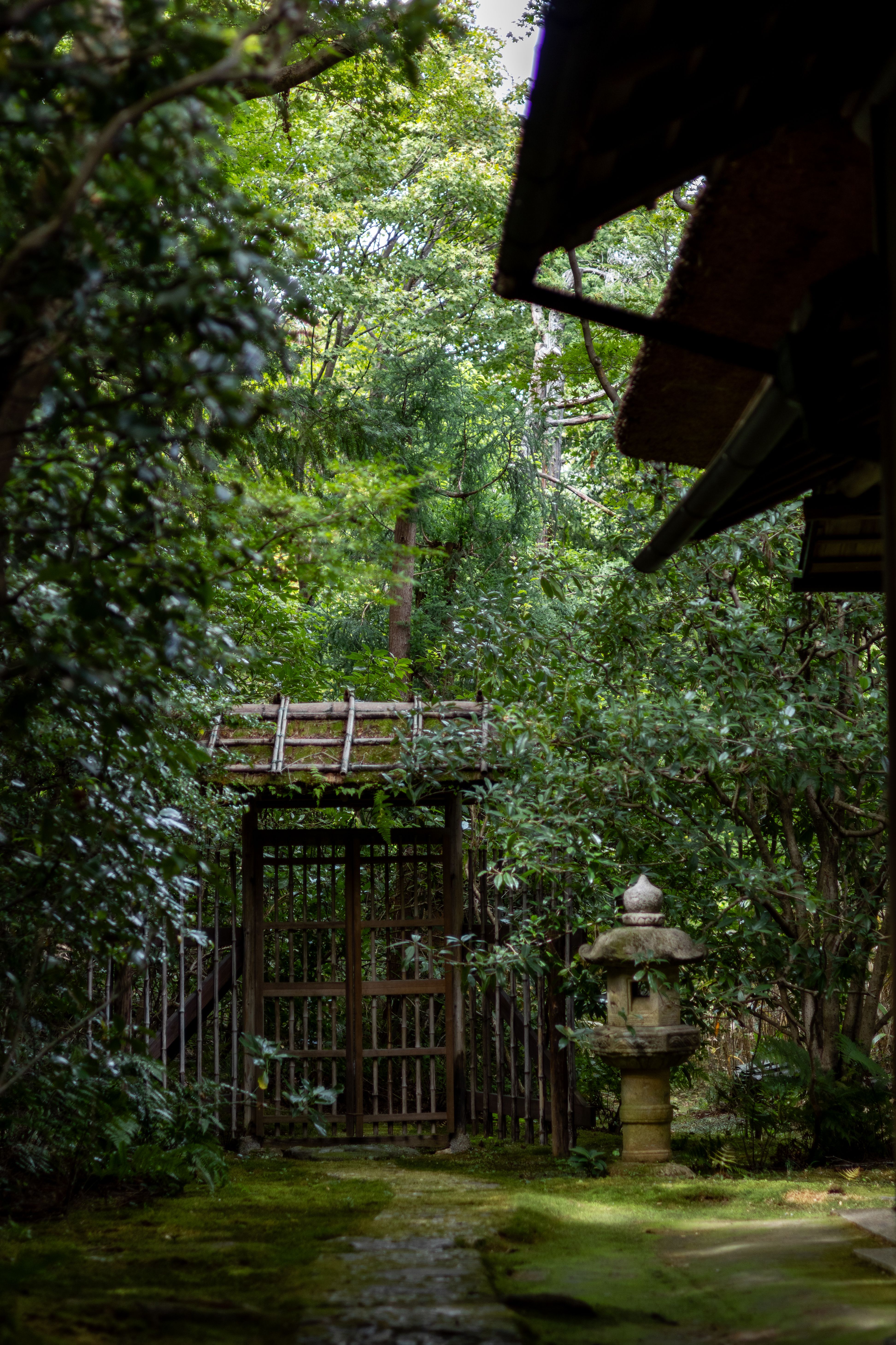 A path leading to a wooden gate in the woods · Free Stock Photo
